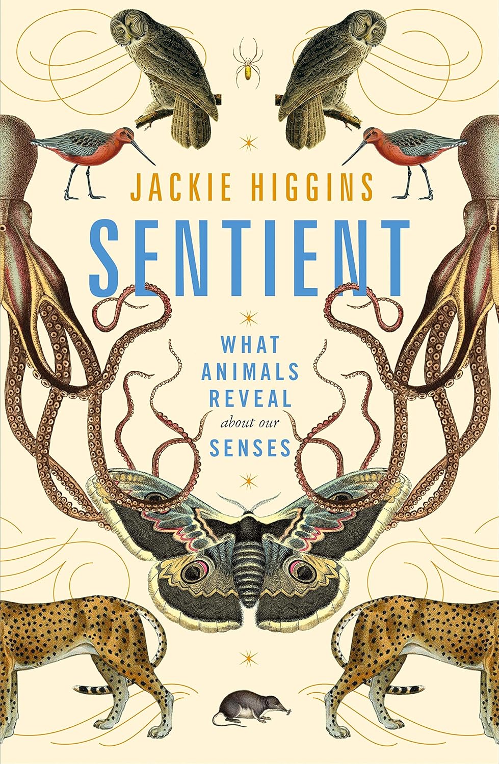 Sentient: What Animals Reveal About Our Senses: Amazon.co.uk: Higgins ...