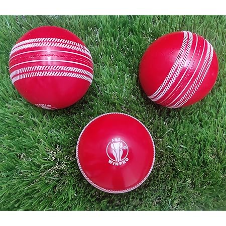 jaspo T-20 Plus Practice Cricket Ball/Wind Balls (125-130 GMS) for ...