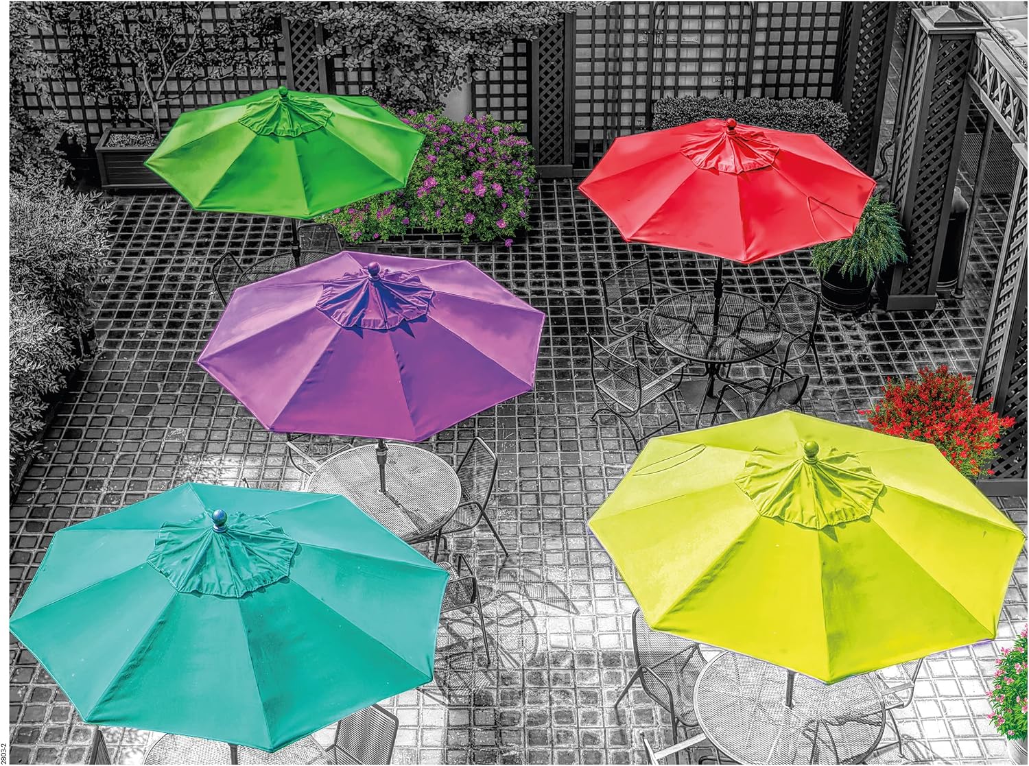 Amazon.com: Ceaco - Color Splash - Umbrellas - 750 Piece Jigsaw Puzzle ...