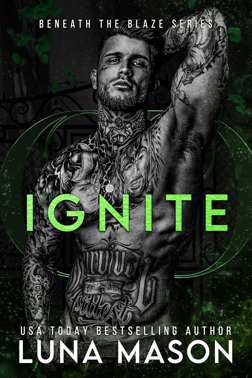 Amazon.com: IGNITE (Beneath The Blaze Book 2) eBook : Mason, Luna: Books