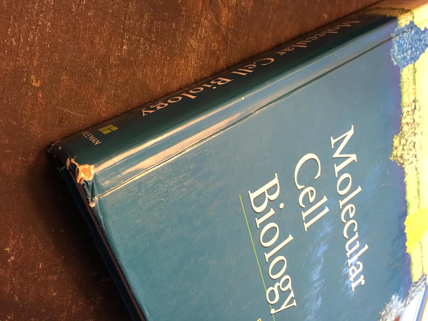 Amazon.com: Molecular Cell Biology Fifth Edition by Lodish, Harvey ...