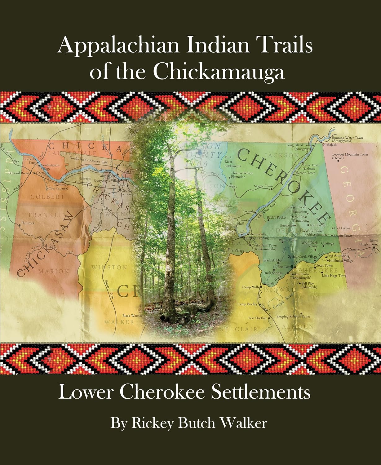 Amazon.com: Appalachian Indian Trails of the Chickamauga: Lower ...