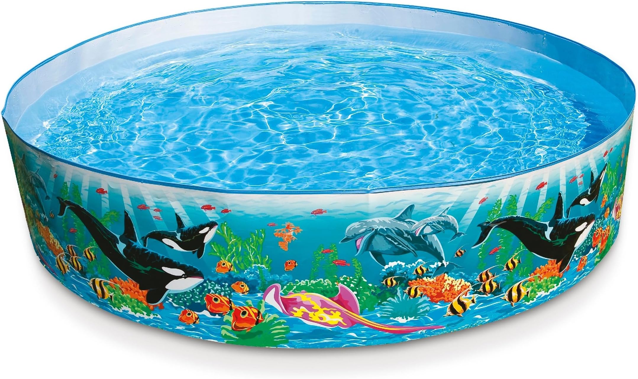 Buy Intex Snap Set Paddling Water Pool (5ft) Online at Low Prices in ...