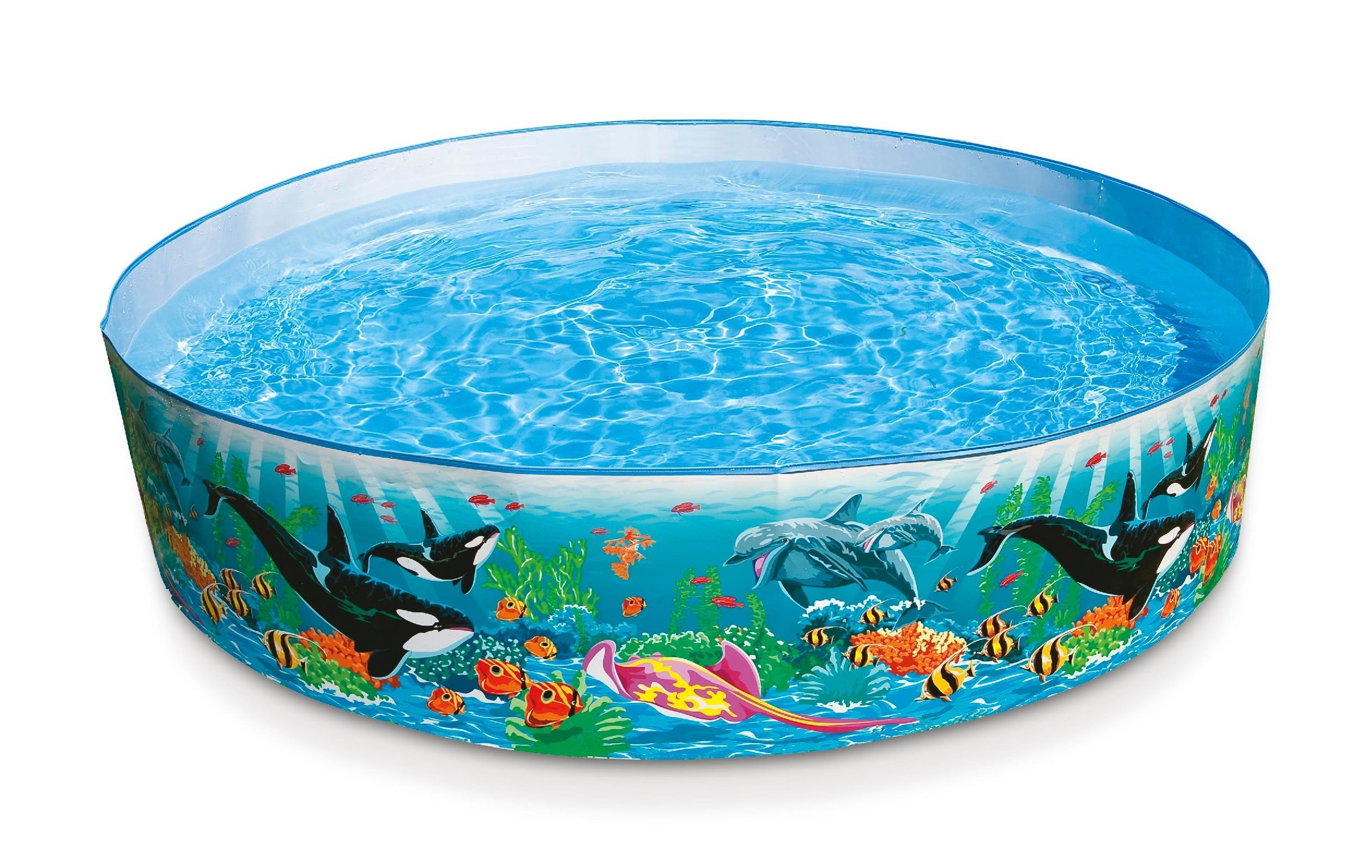 Buy Intex 58461 Rigid Ocean Pool, Multi Color Online at Low Prices in ...