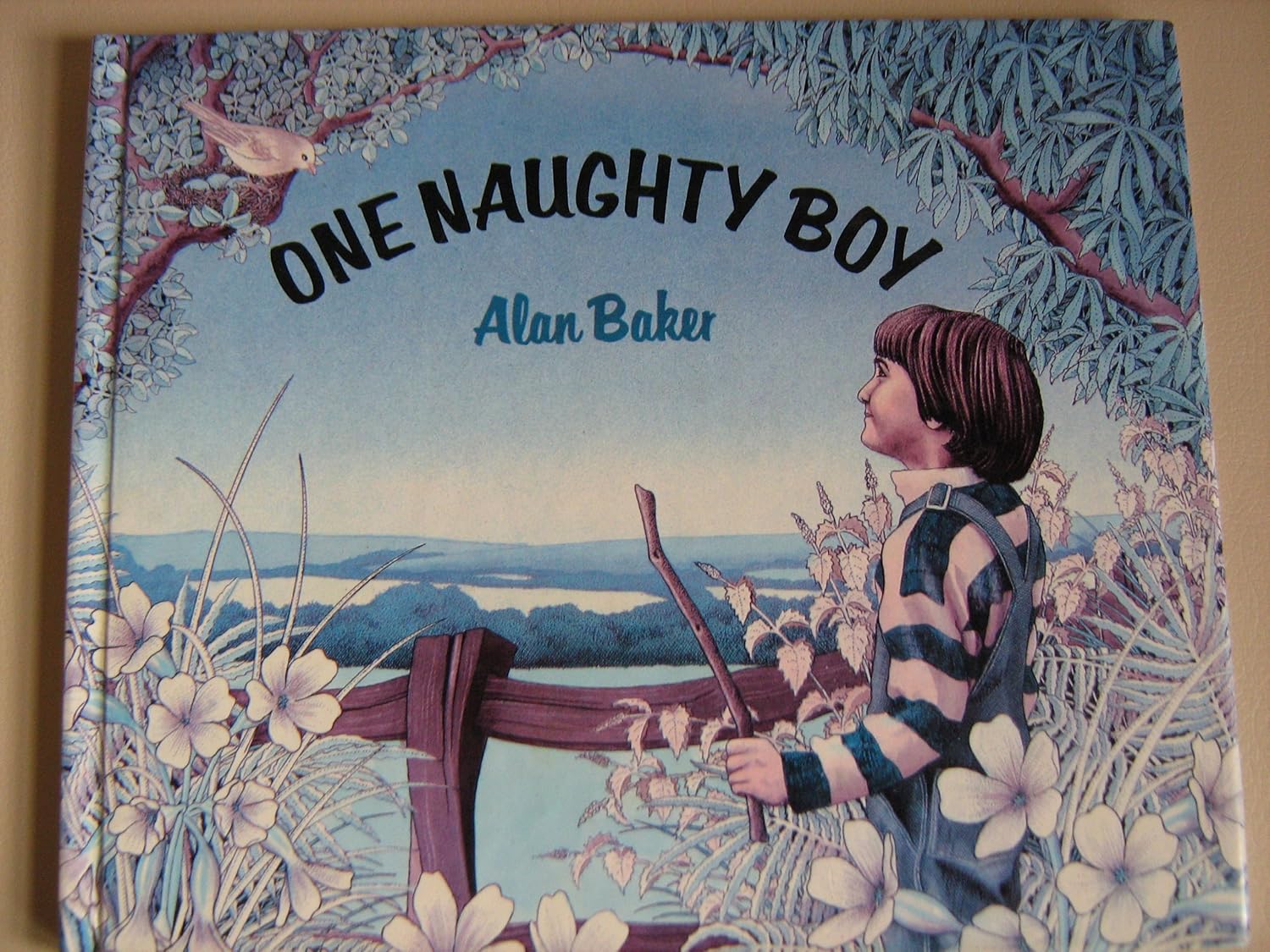 Amazon | One Naughty Boy | Baker, Alan | Mathematics