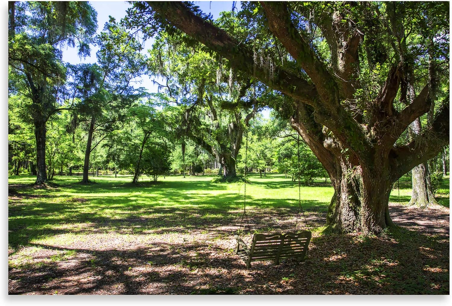 Amazon.com: Gango Home Décor Summer Swing, Fine Art Photograph by: Alan ...