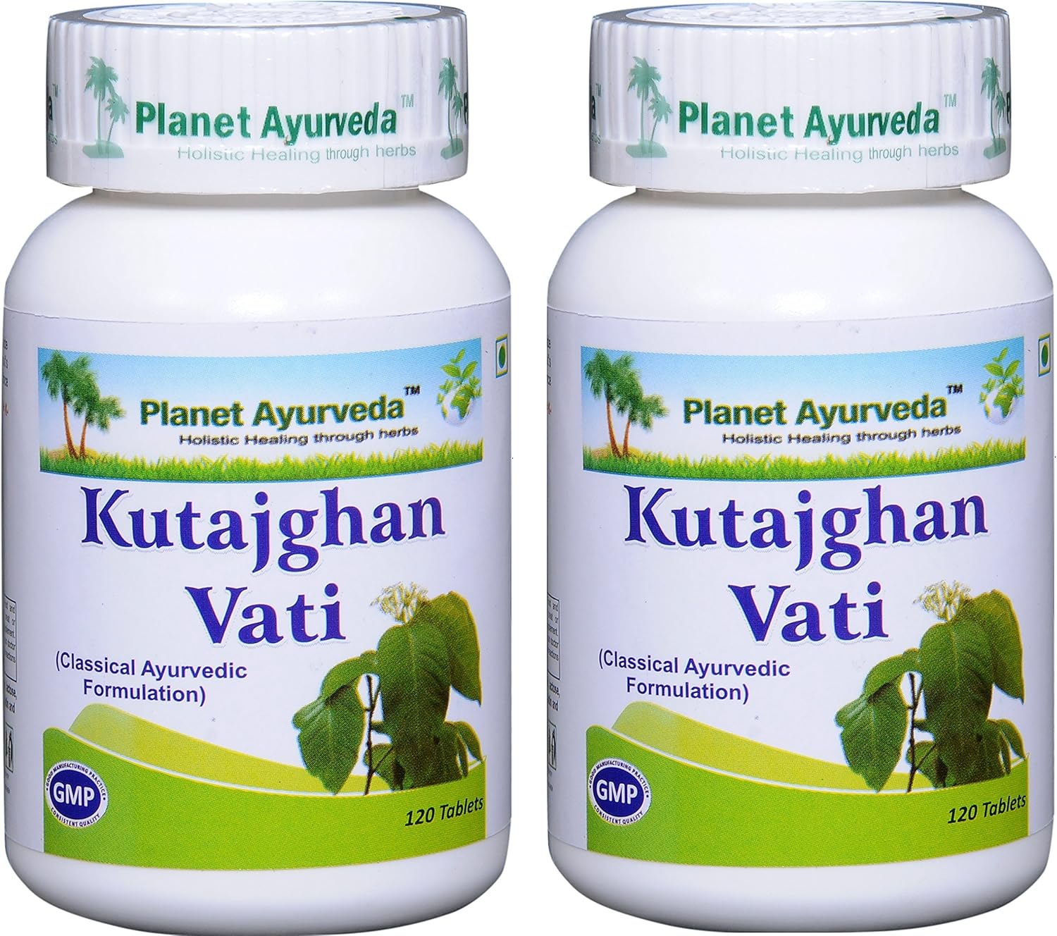 Amazon.com: Planet Ayurveda Kutajghan Vati - Herbal Tablets, 100% ...