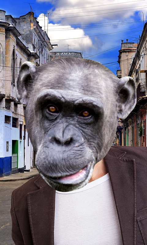 Animal Face - App on Amazon Appstore