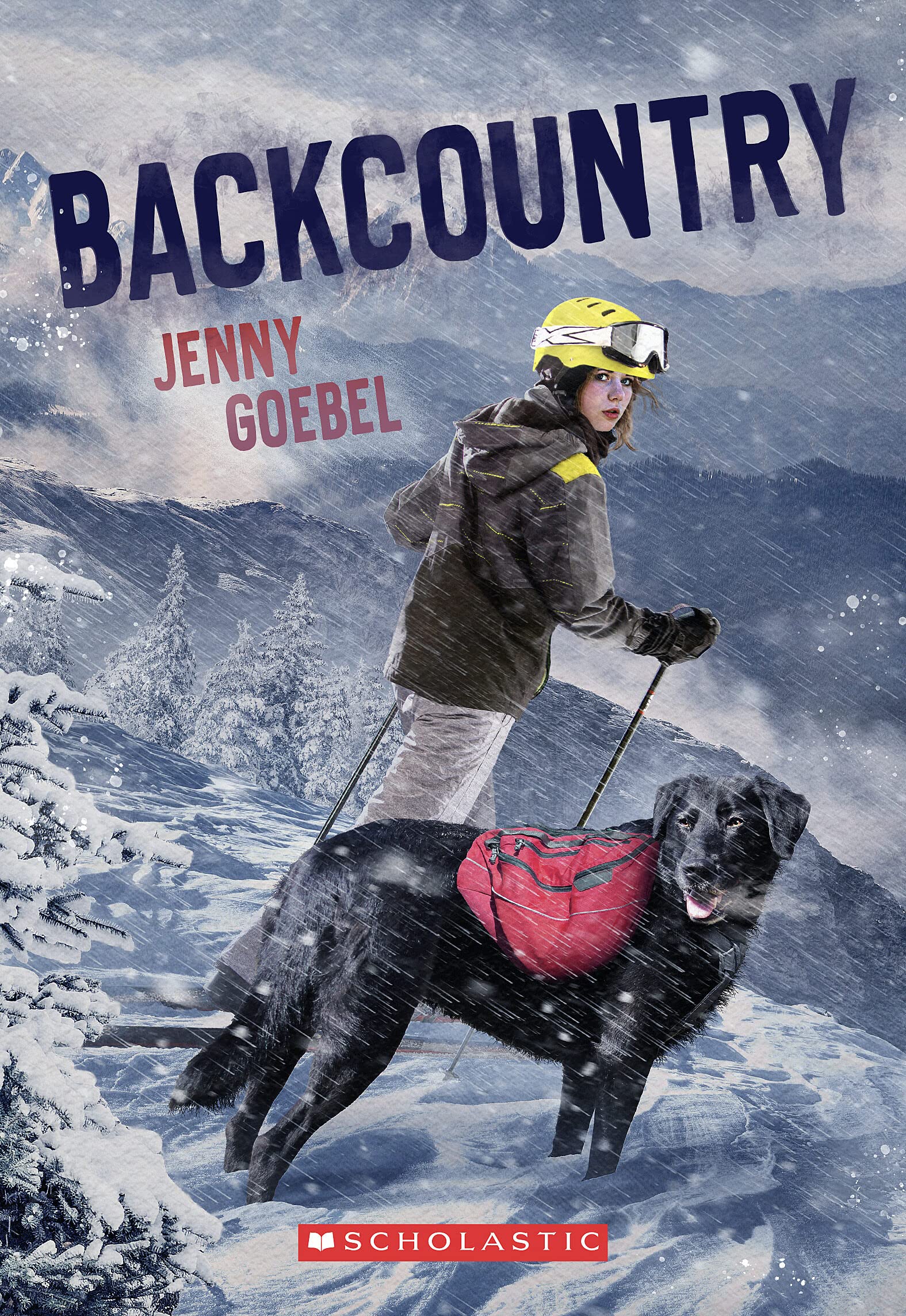 Backcountry: Goebel, Jenny: 9781338857887: Amazon.com: Books