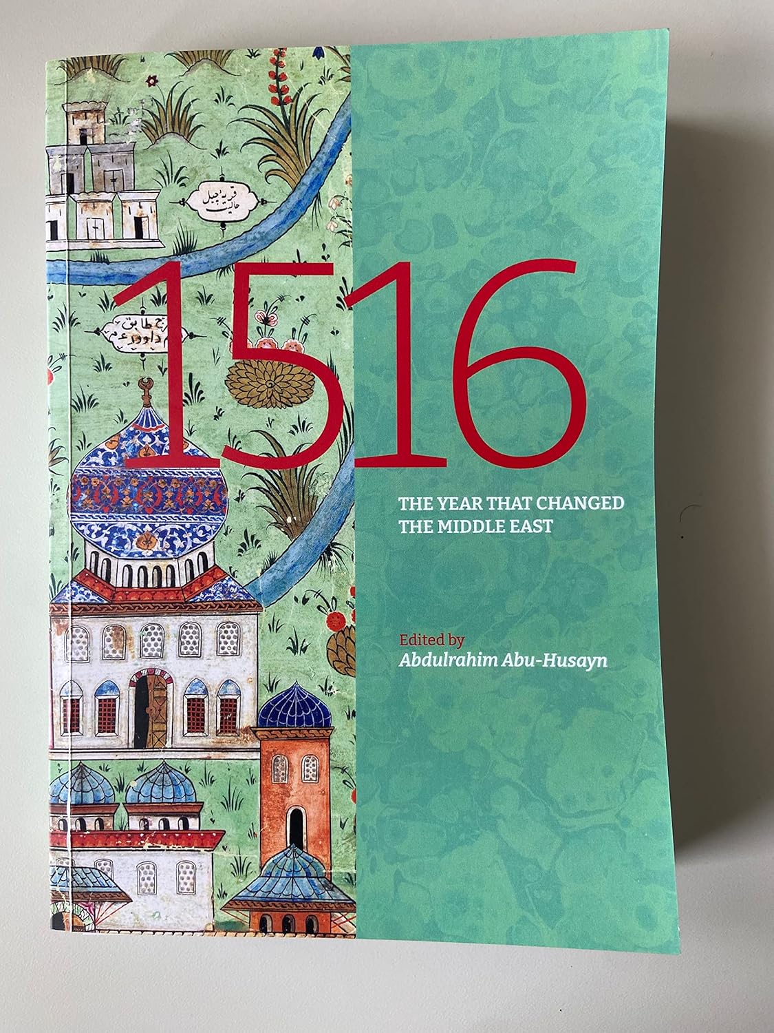1516: The Year That Changed the Middle East: Abdulrahim Abu-Husayn ...