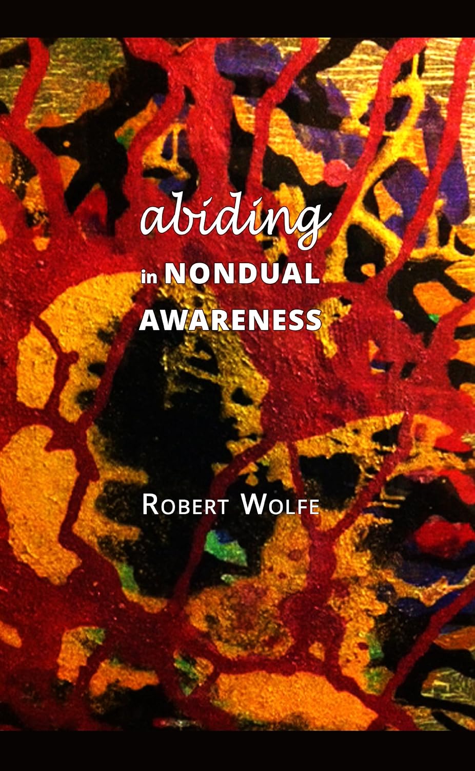 Amazon.com: Abiding in Nondual Awareness: exploring the further ...