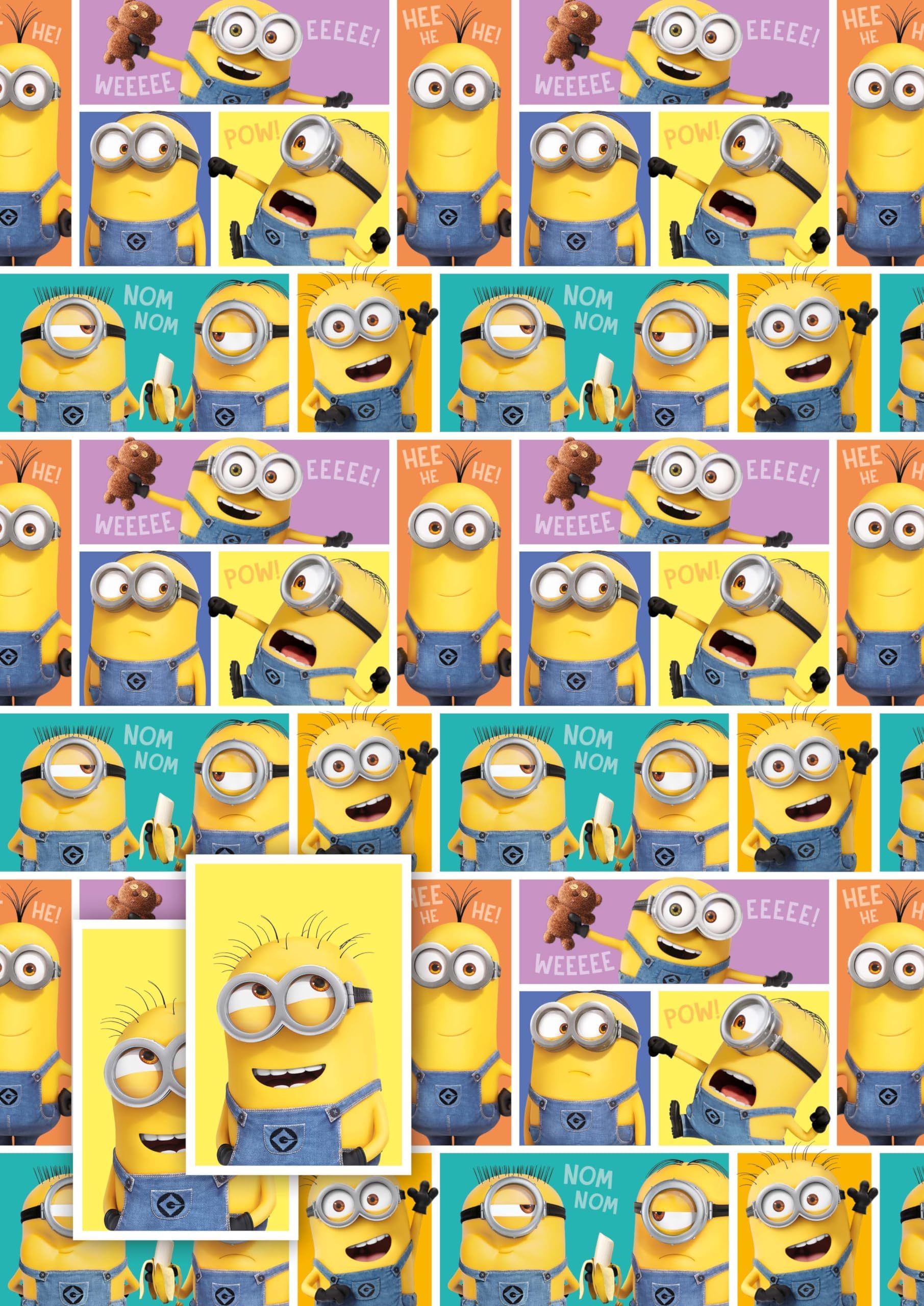 Despicable Me Wrapping Paper, Despicable Me Gift Wrap : Amazon.co.uk ...