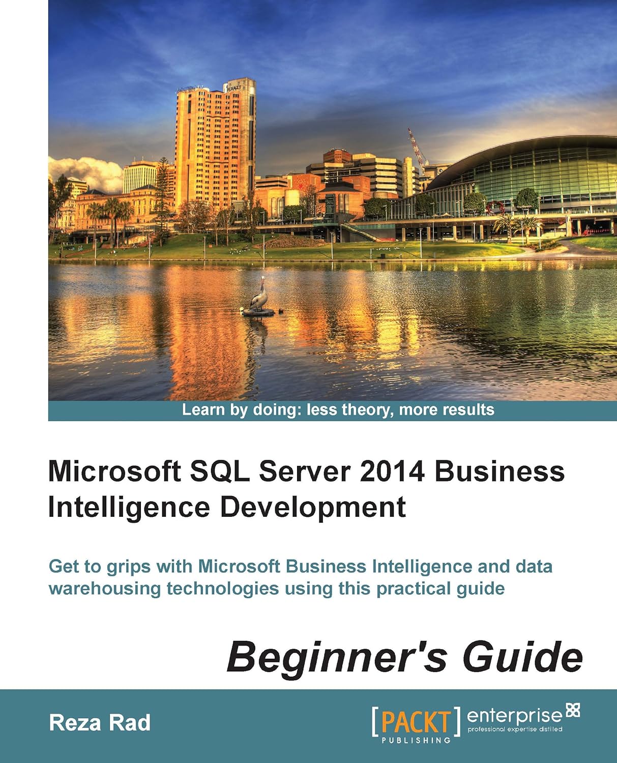 Microsoft SQL Server 2014 Business Intelligence Development Beginner’s ...