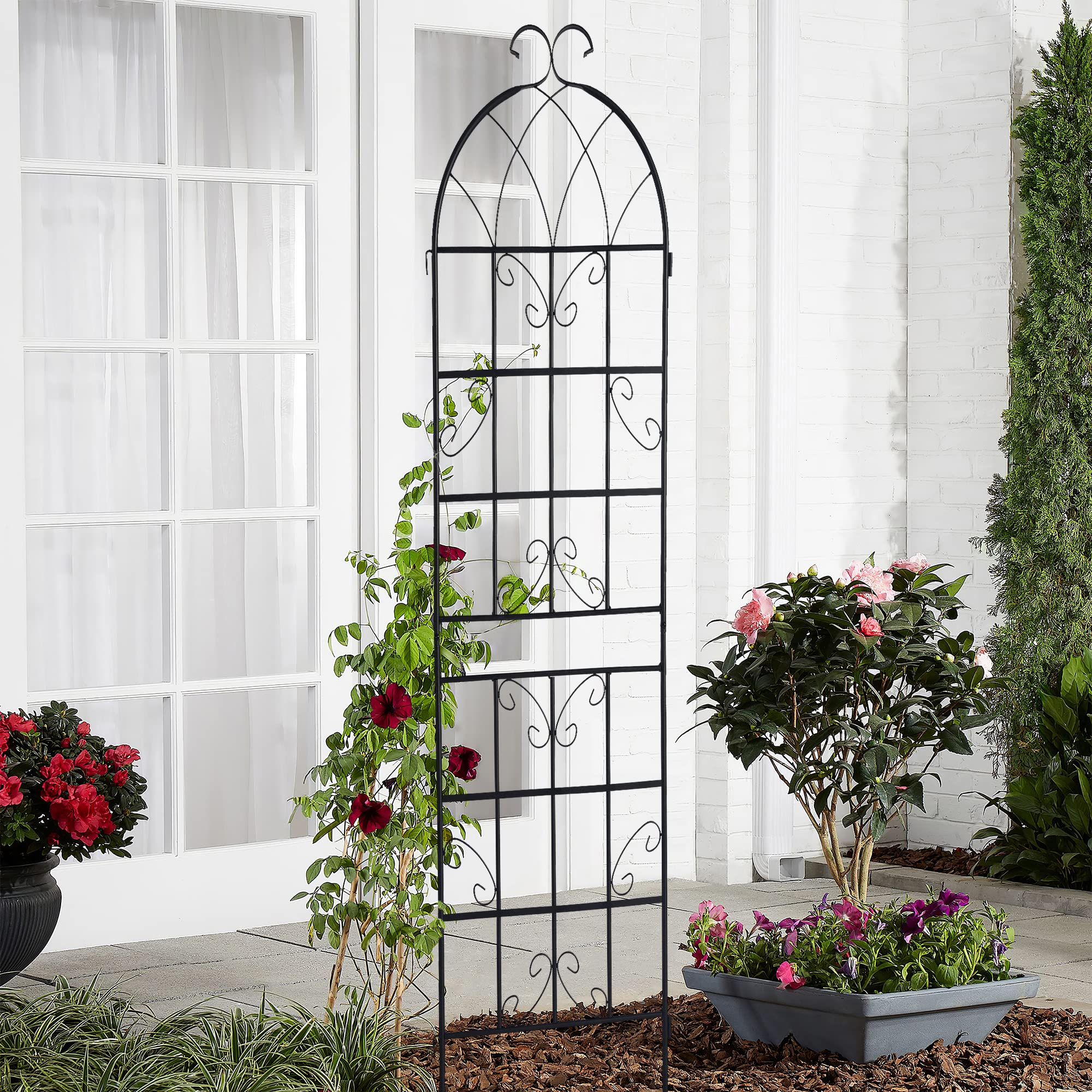 Snapklik.com : Metal Trellis Garden Trellis 2 Pack Metal Garden Trellis ...