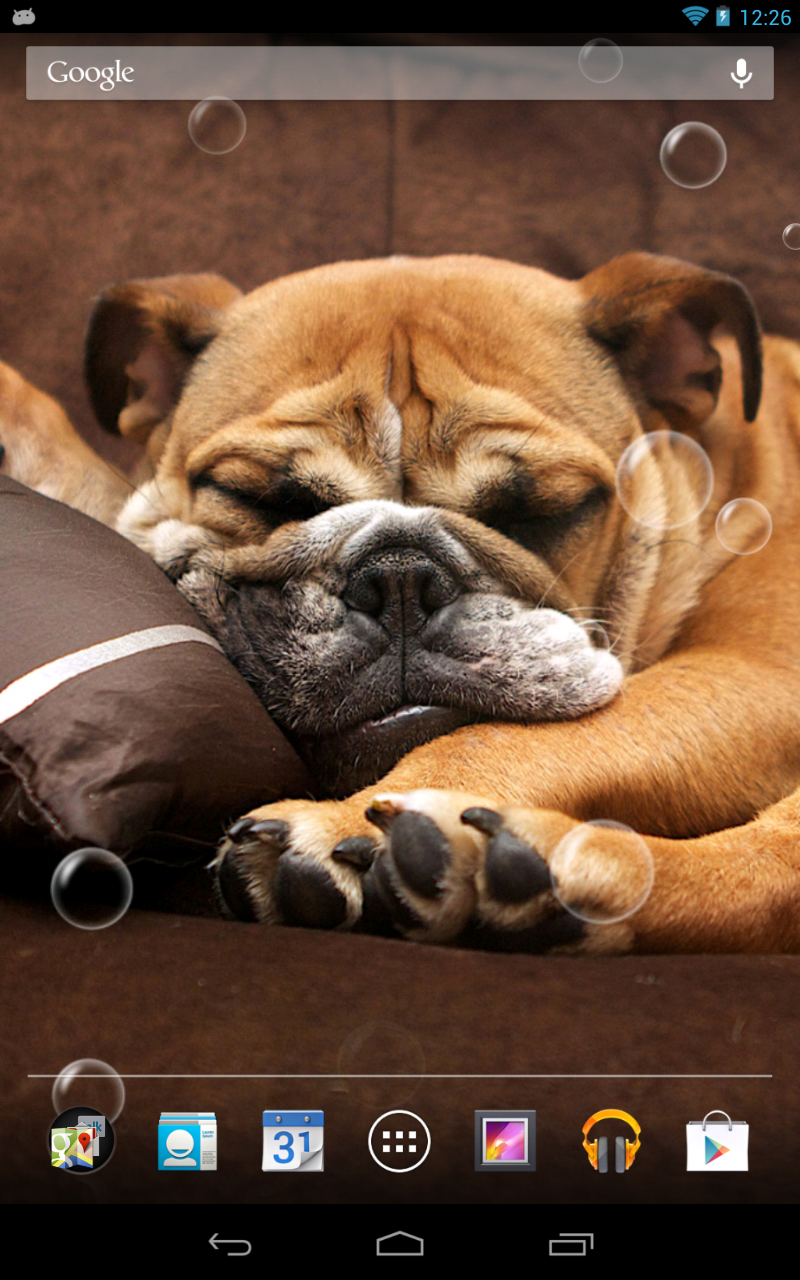 Q Dog Live Wallpaper: app su Amazon Appstore