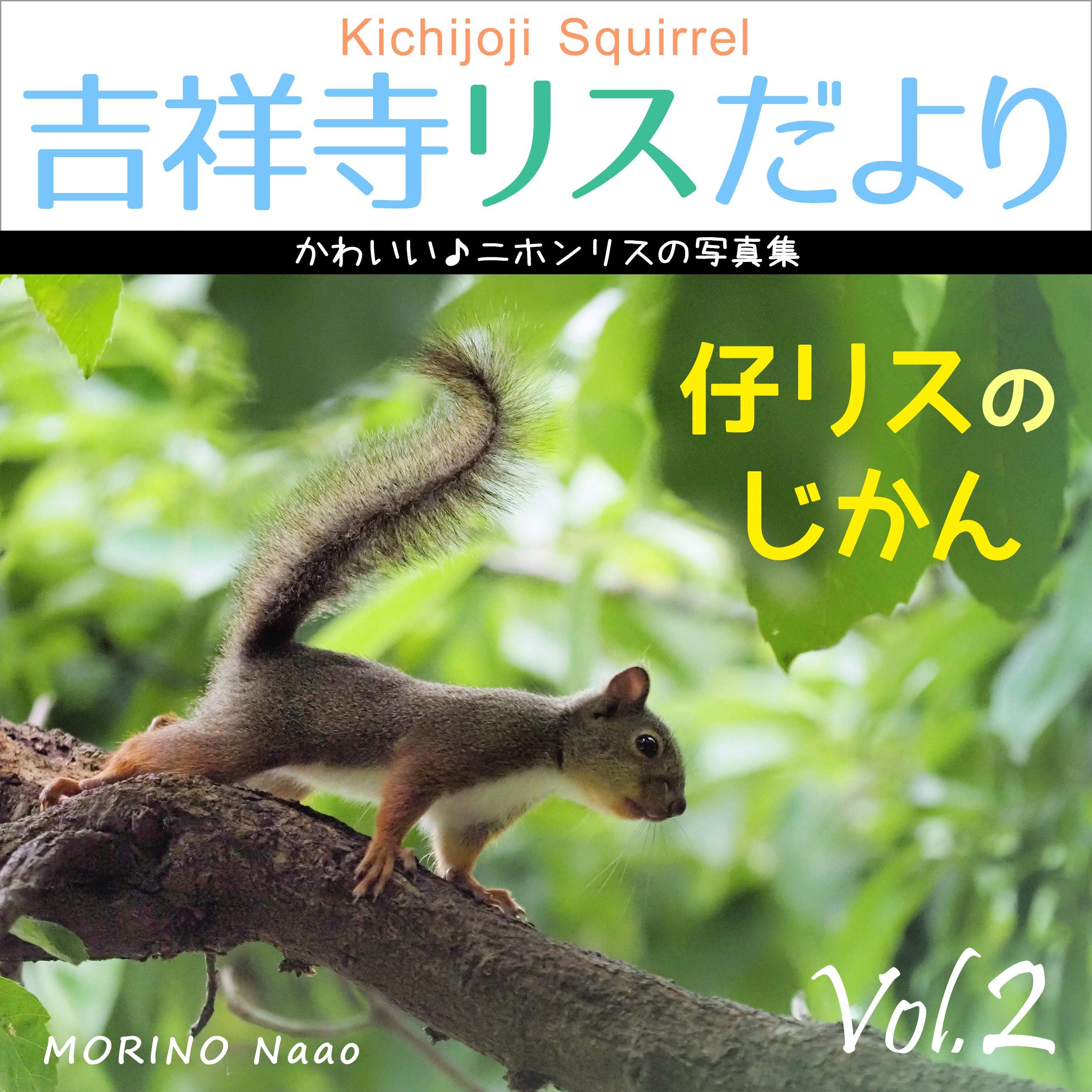 Buy Kawaii Kichijoji Squirrel Baby Squirrels Japanese Squirrel ...