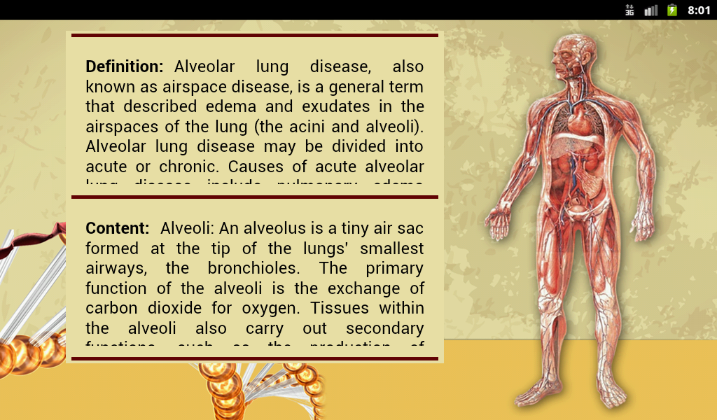 Visual Body Anatomy - App on the Amazon Appstore