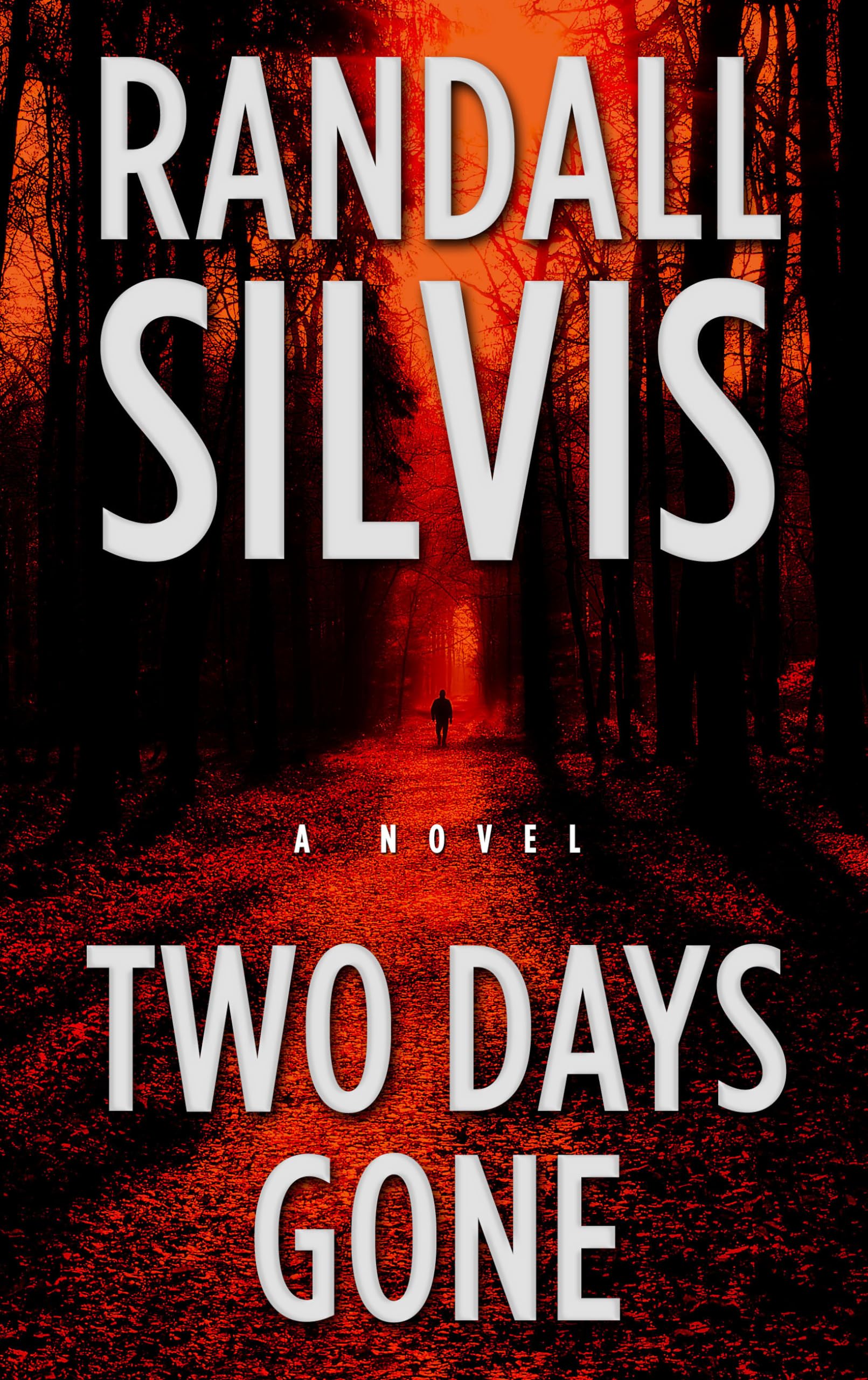 Two Days Gone : Silvis, Randall: Amazon.ca: Books