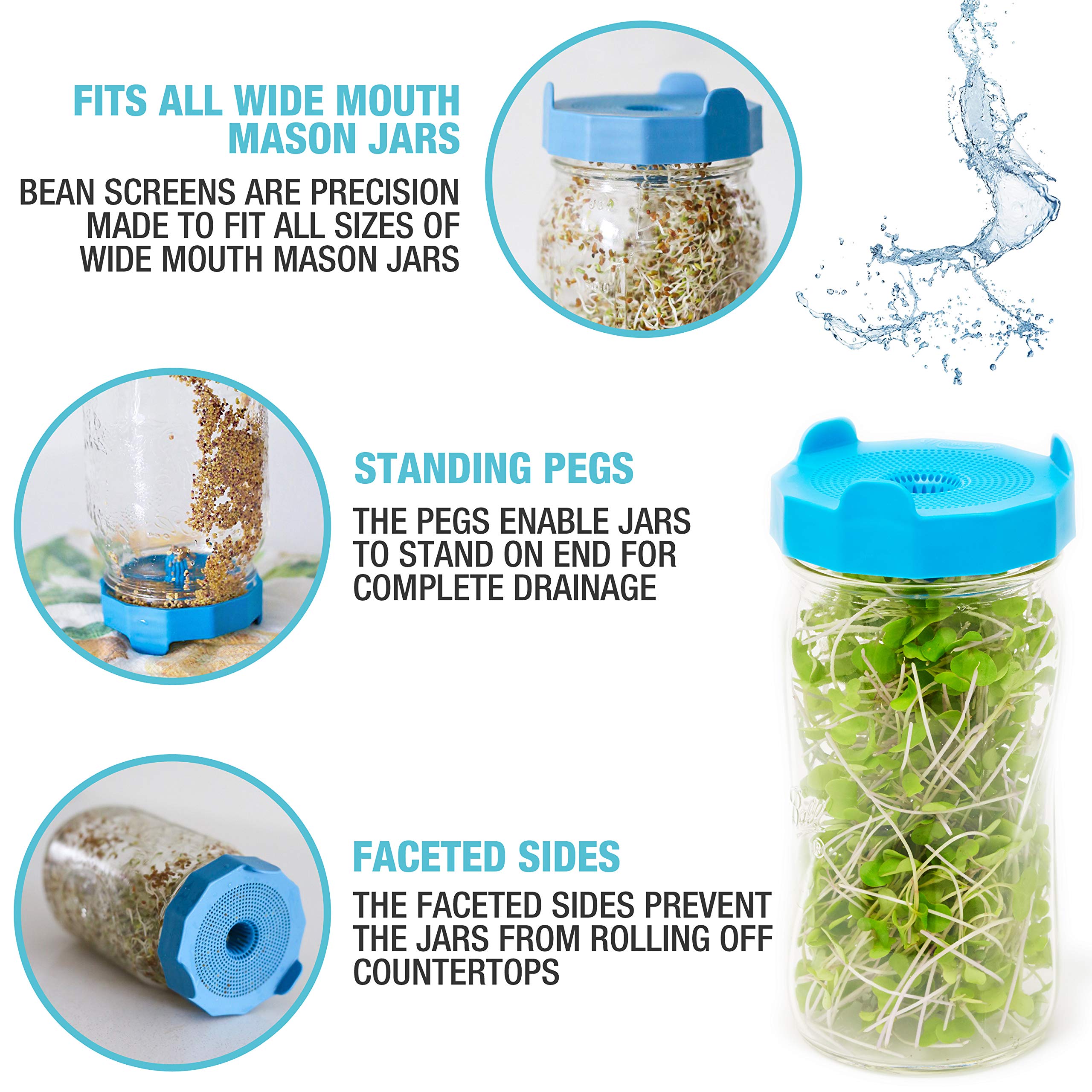 Snapklik.com : Bean Screen Sprouts Growing Kit - Sprouting Lids ...