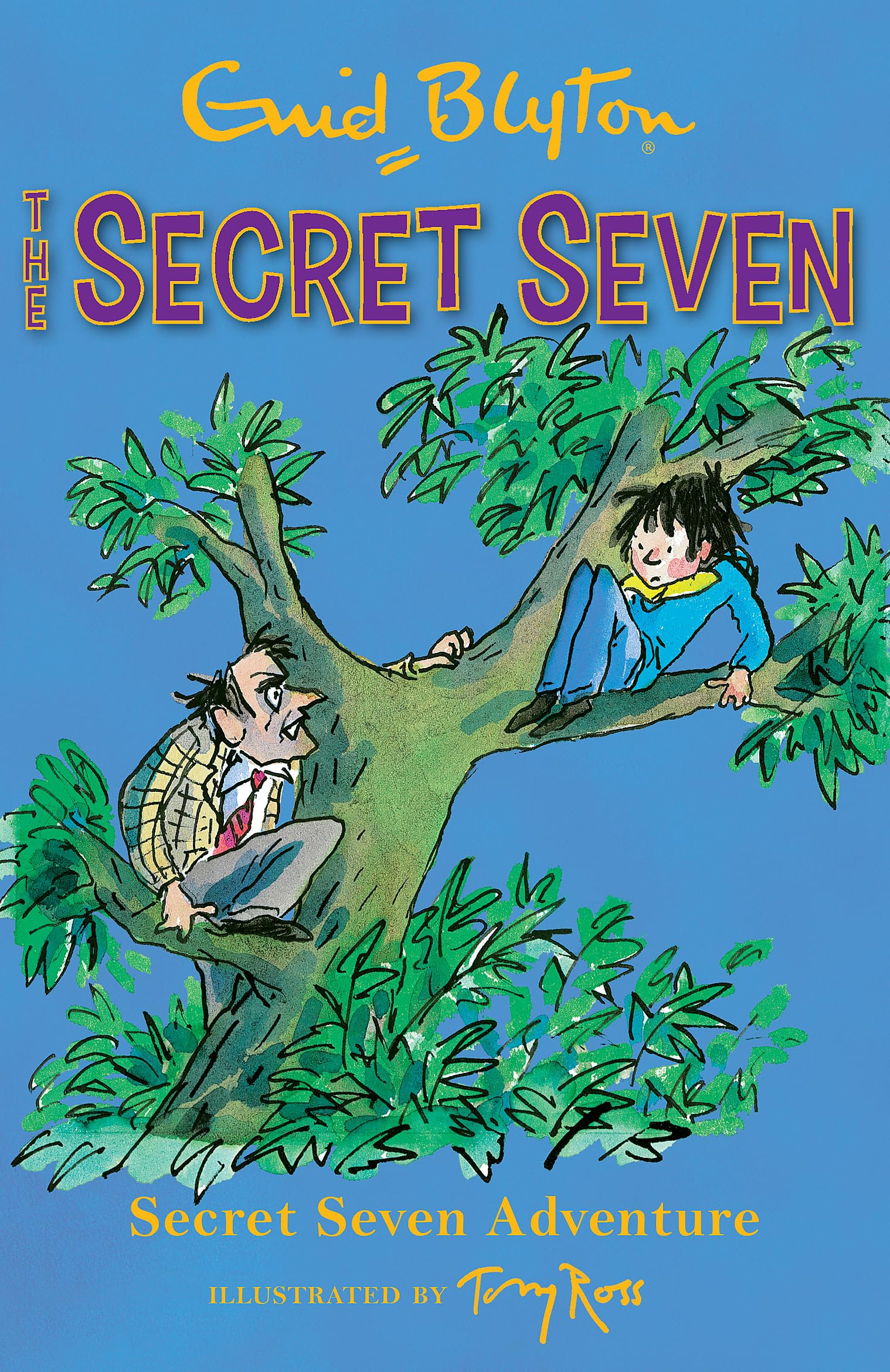 Secret Seven Adventure: Book 2: Amazon.co.uk: Blyton, Enid, Wane ...