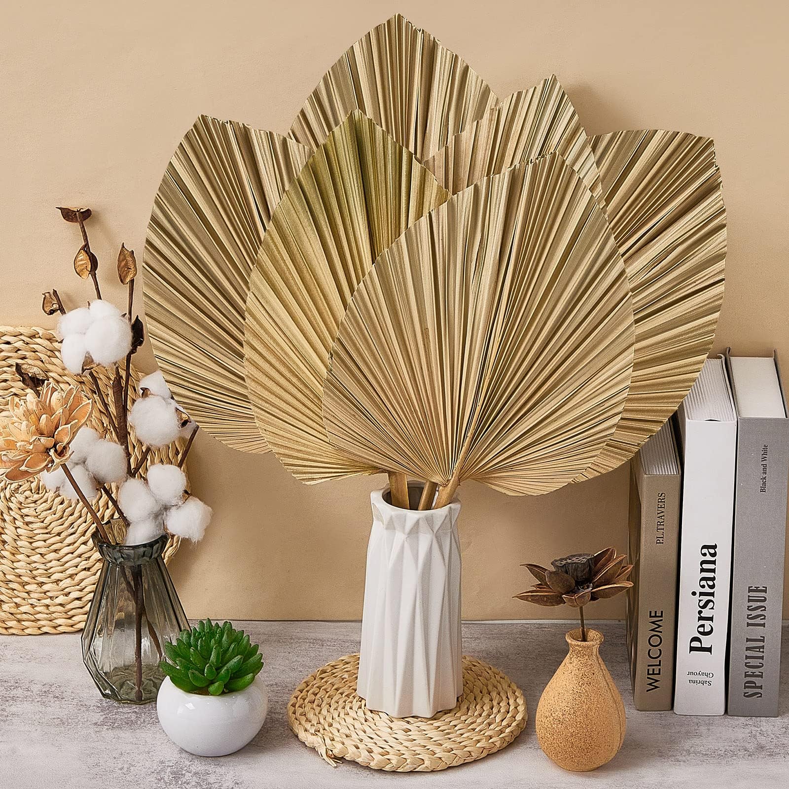 Amazon.com: 23" H x 15" W Giant Tropical Dried Palm Leaves, Large Palm ...