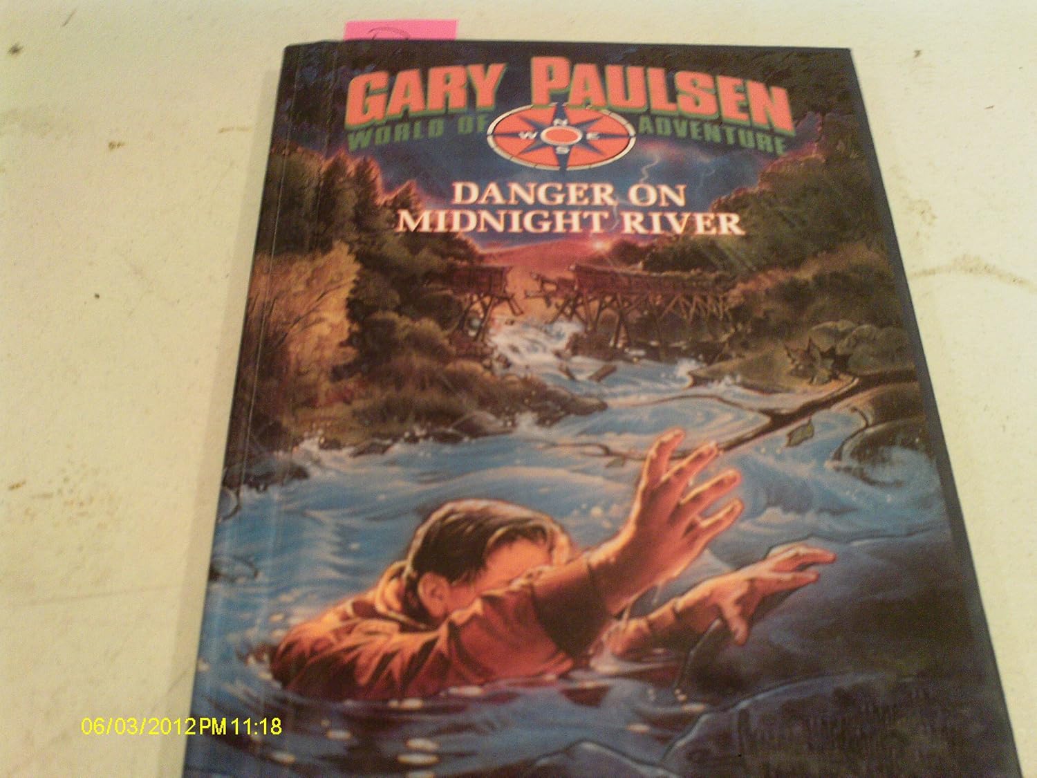 Danger On Midnight River: Paulsen, Gary: 9780785760337: Amazon.com: Books