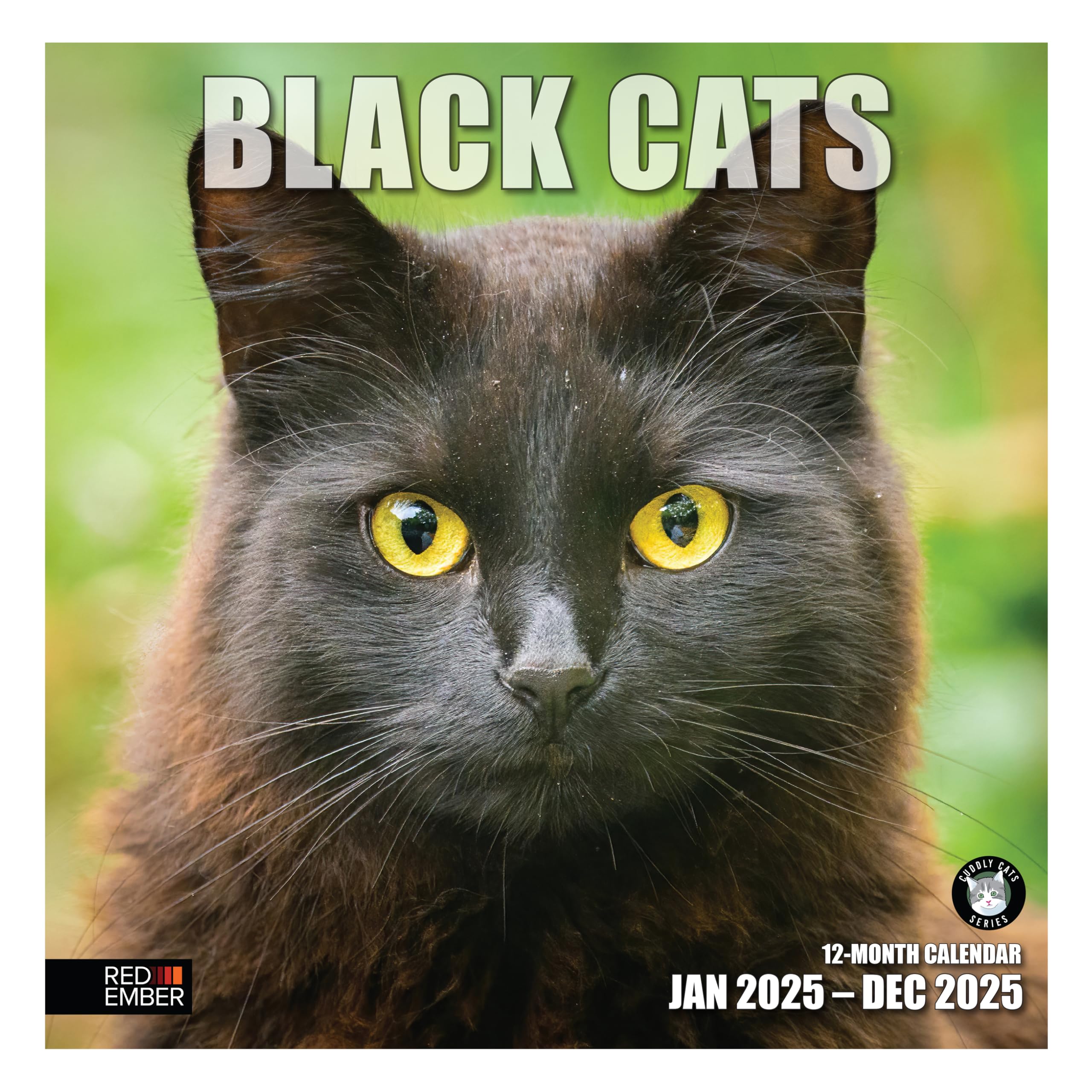 Amazon.com: RED EMBER Black Cats 2025 Wall Calendar 12 Month | 12" x 24 ...