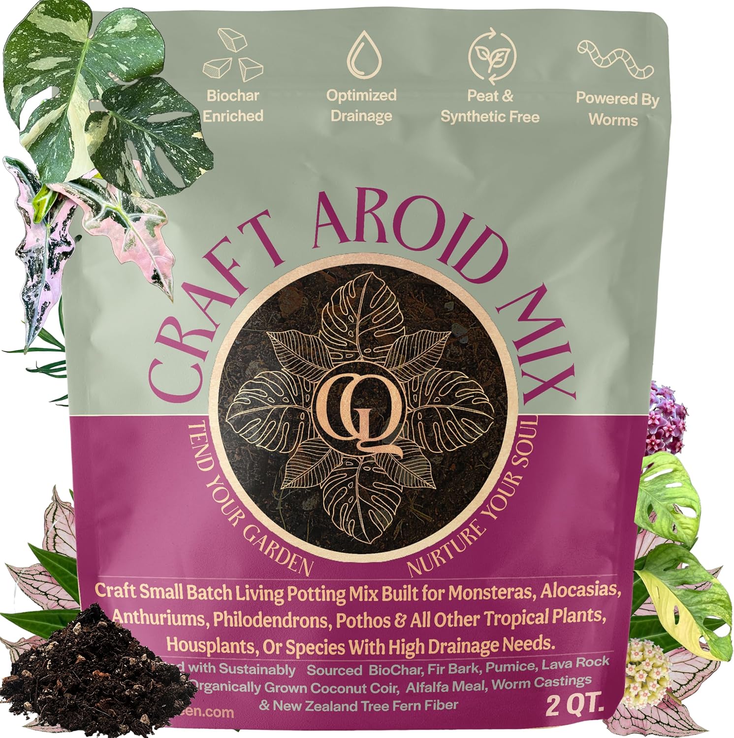 Amazon.com : Grow Queen Craft Aroid Potting Mix- Elite Alocasia ...