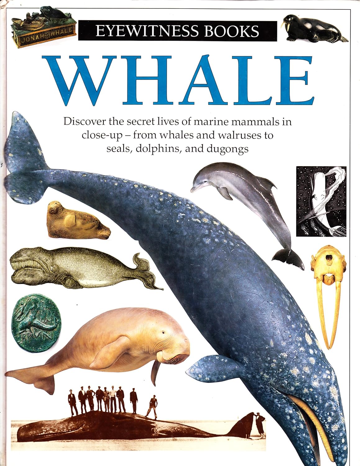 Whale (Eyewitness): Papastavrou, Vasilli: 9780679838845: Amazon.com: Books