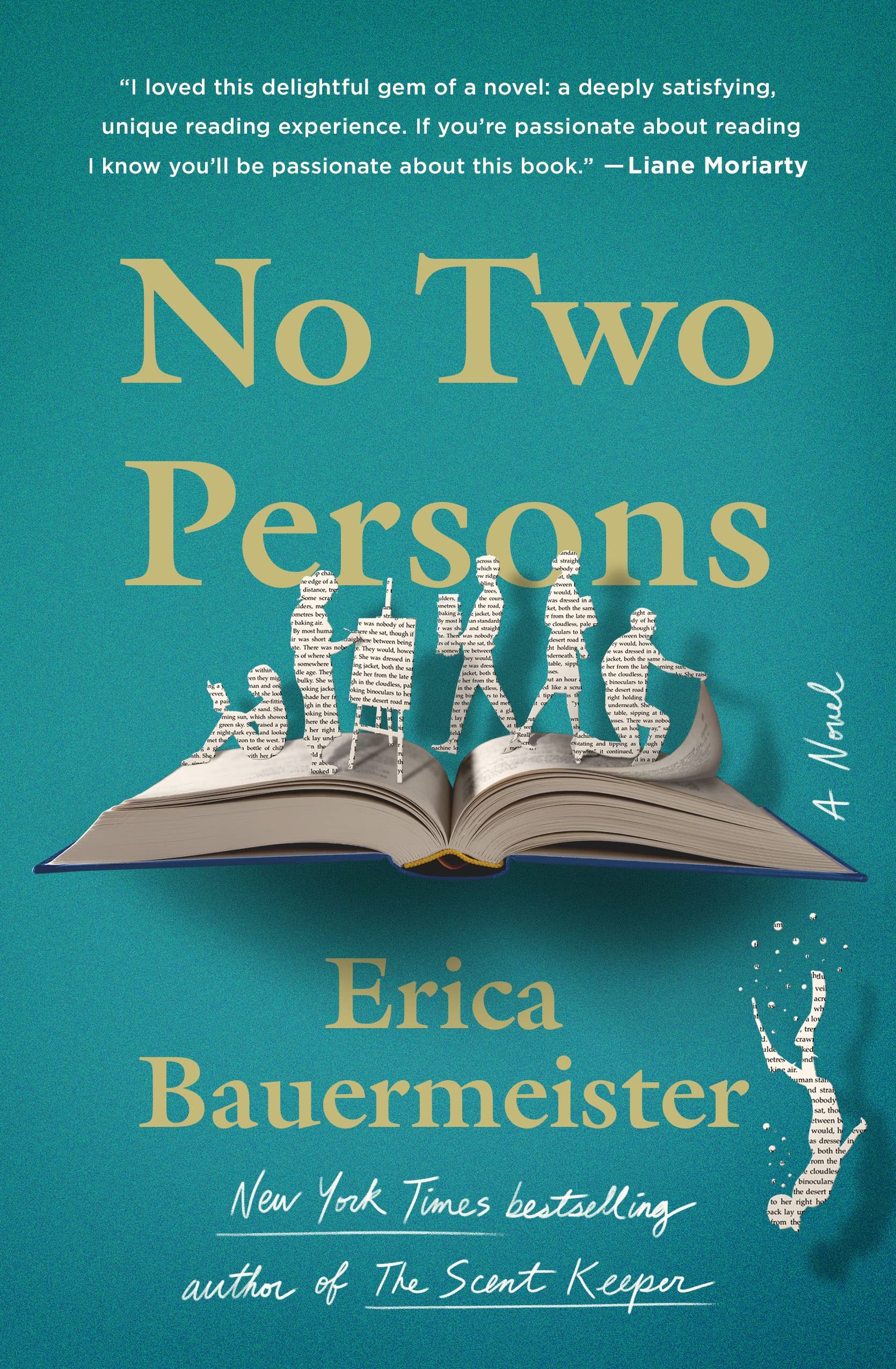 Amazon.com: No Two Persons: A Novel: 9781250284372: Bauermeister, Erica ...