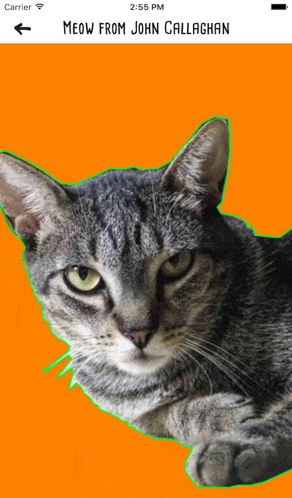 Let's Meow! - App on Amazon Appstore