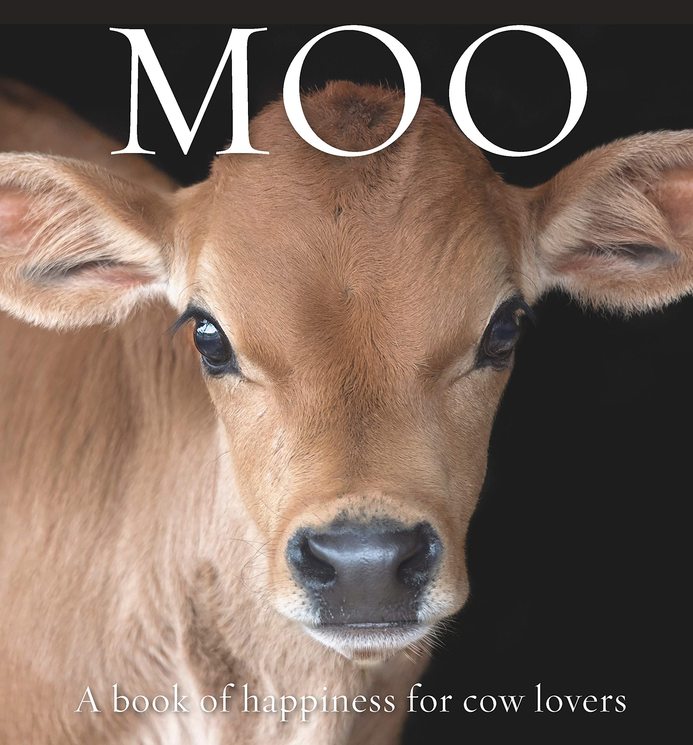Moo: A book of happiness for cow lovers (Animal Happiness): Galloway ...