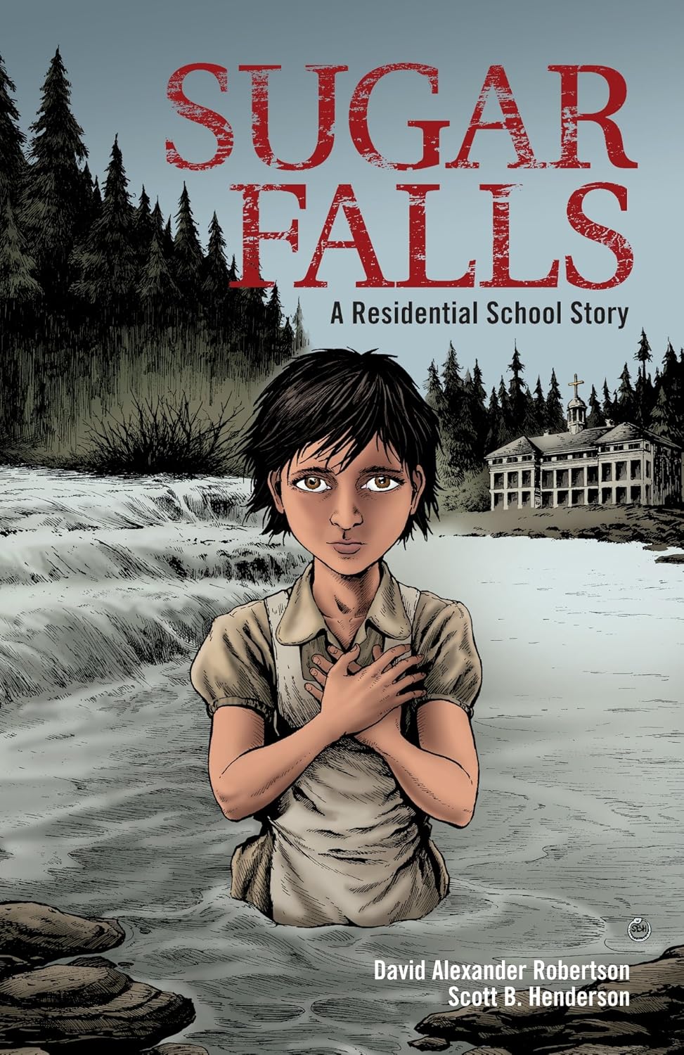 Sugar Falls: A Residential School Story : Robertson, David Alexander ...