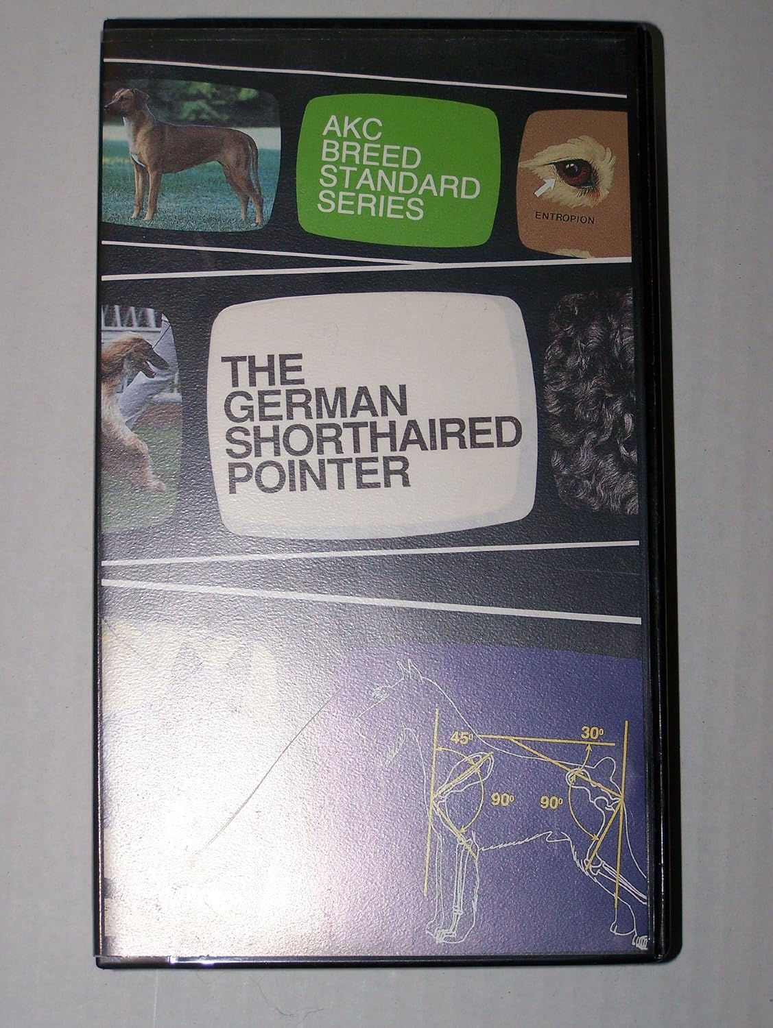 AKC Breed Standard Series The German Shorthaired Pointer VHS & Standard ...