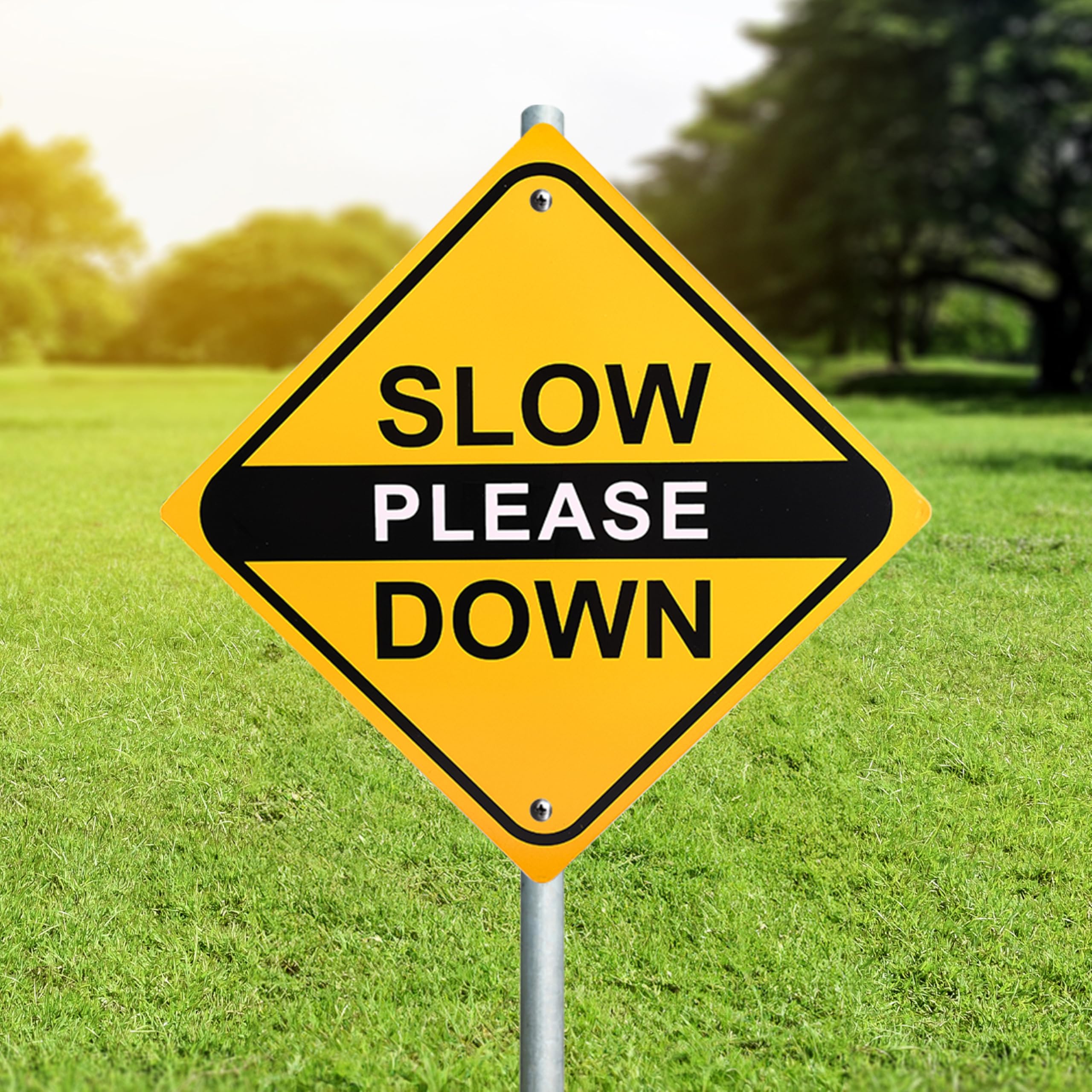 Amazon.com: Bigtime Slow Down Signs for Neighborhoods - Aluminum ...