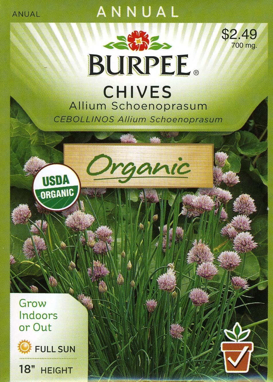 Amazon.com : Burpee 60225 Organic Herb Chives Seed Packet : Herb Plants ...