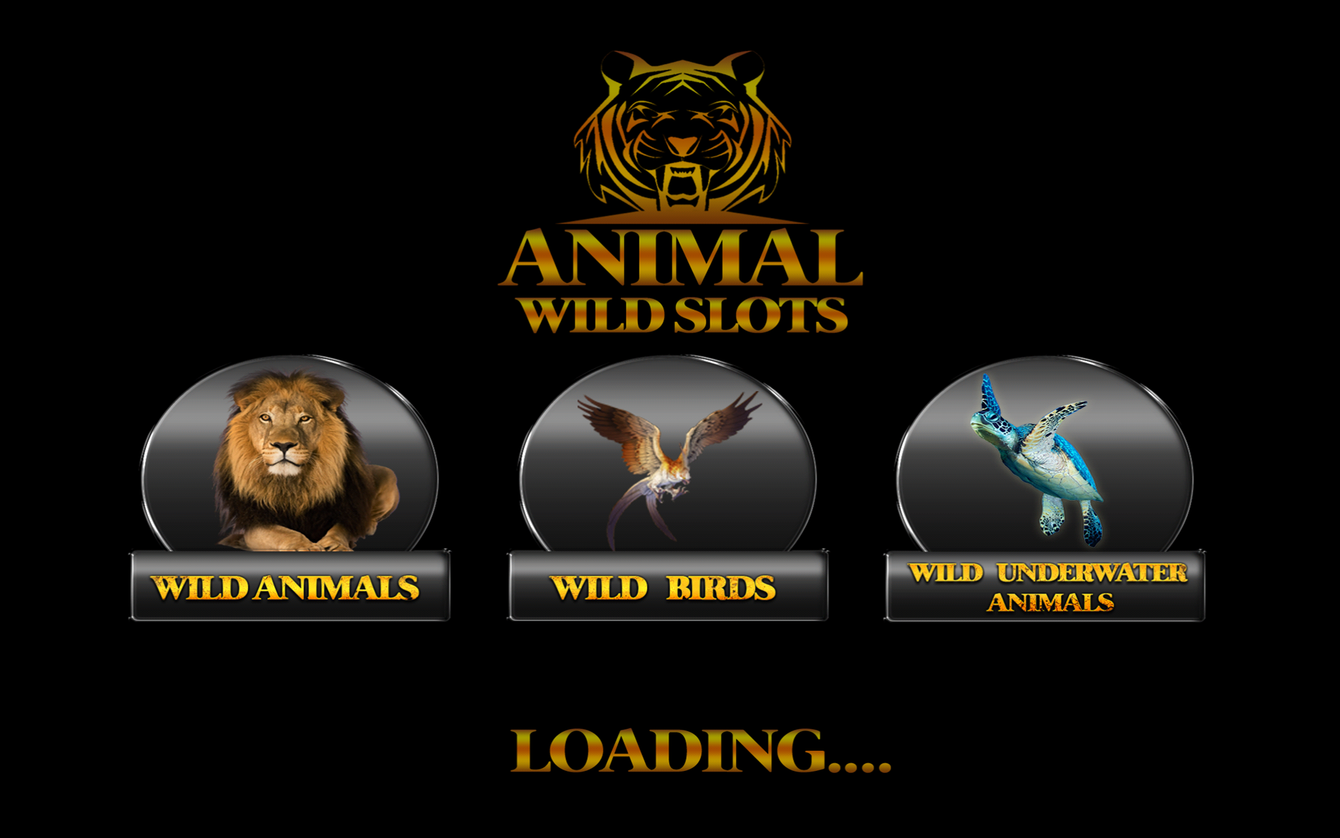 Animal Wild Slots Casino - Aplicativo na Amazon Appstore