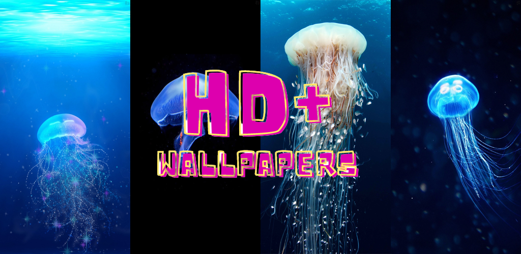 Jellyfish Wallpaper HD:Amazon.co.uk:Appstore for Android