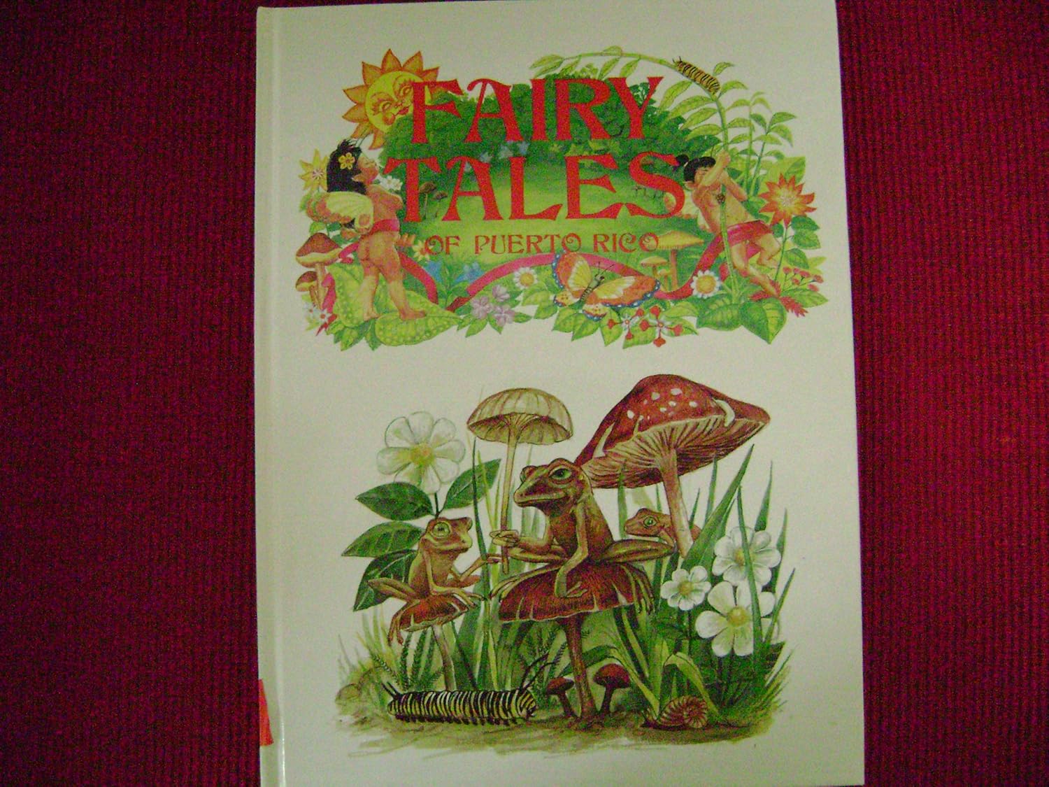 Fairy Tales of Puerto Rico: David Garcia, Gus Anavitate: 9780934642026 ...