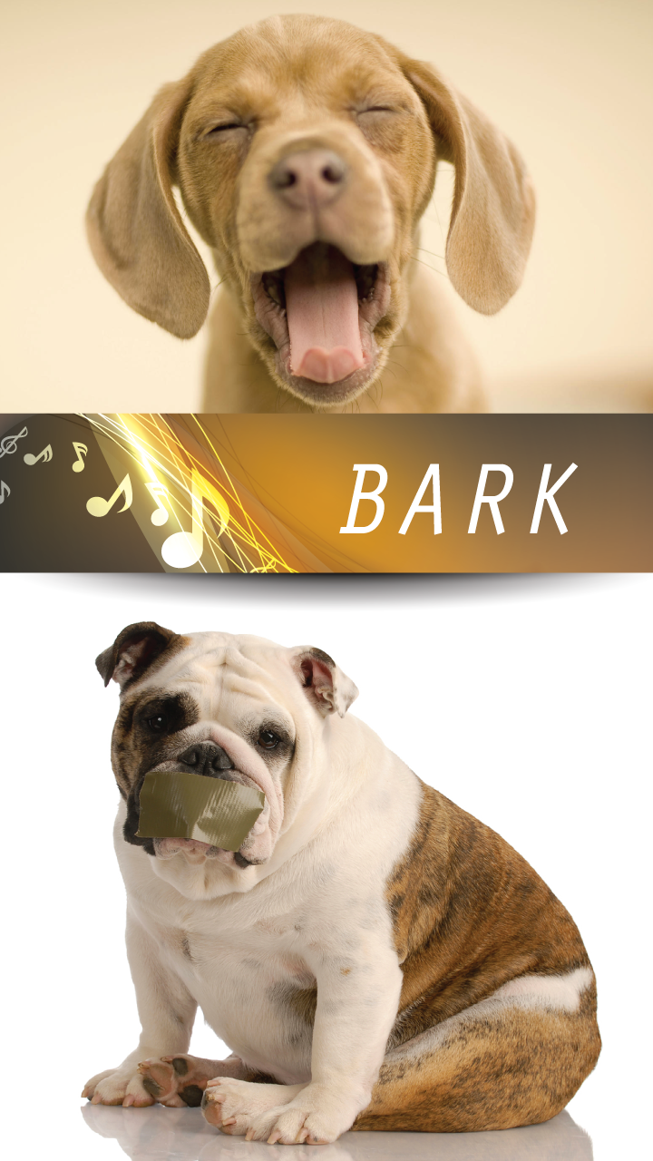 Play Doggy Sounds - App on Amazon Appstore