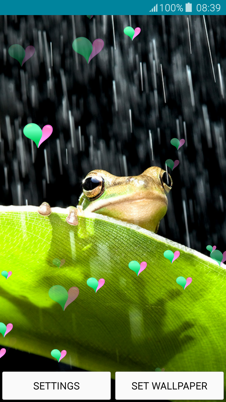 Live Wallpapers – Frog - App on Amazon Appstore
