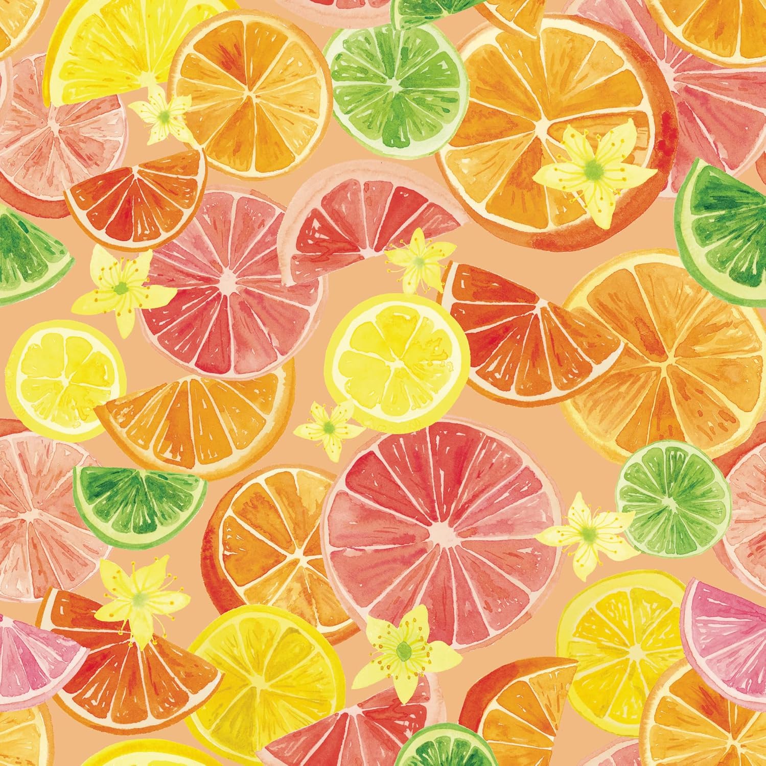 Amazon.com: Citrus Fruit Summer Giftwrap Paper - Six Flat Folded Sheets ...