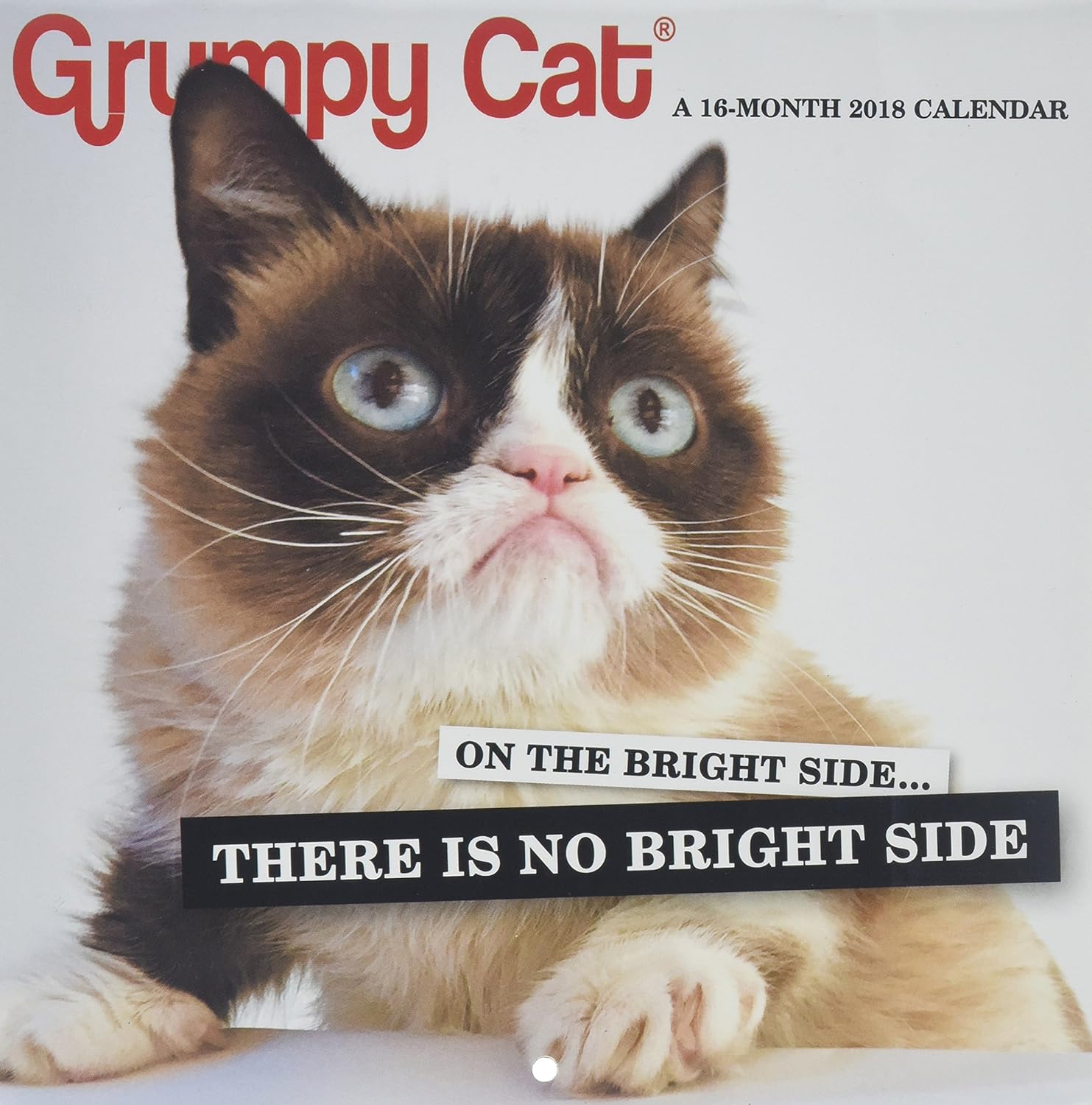 Grumpy Cat 2018 Calendar: Acco Brands USA Llc: 9781635710267: Amazon ...