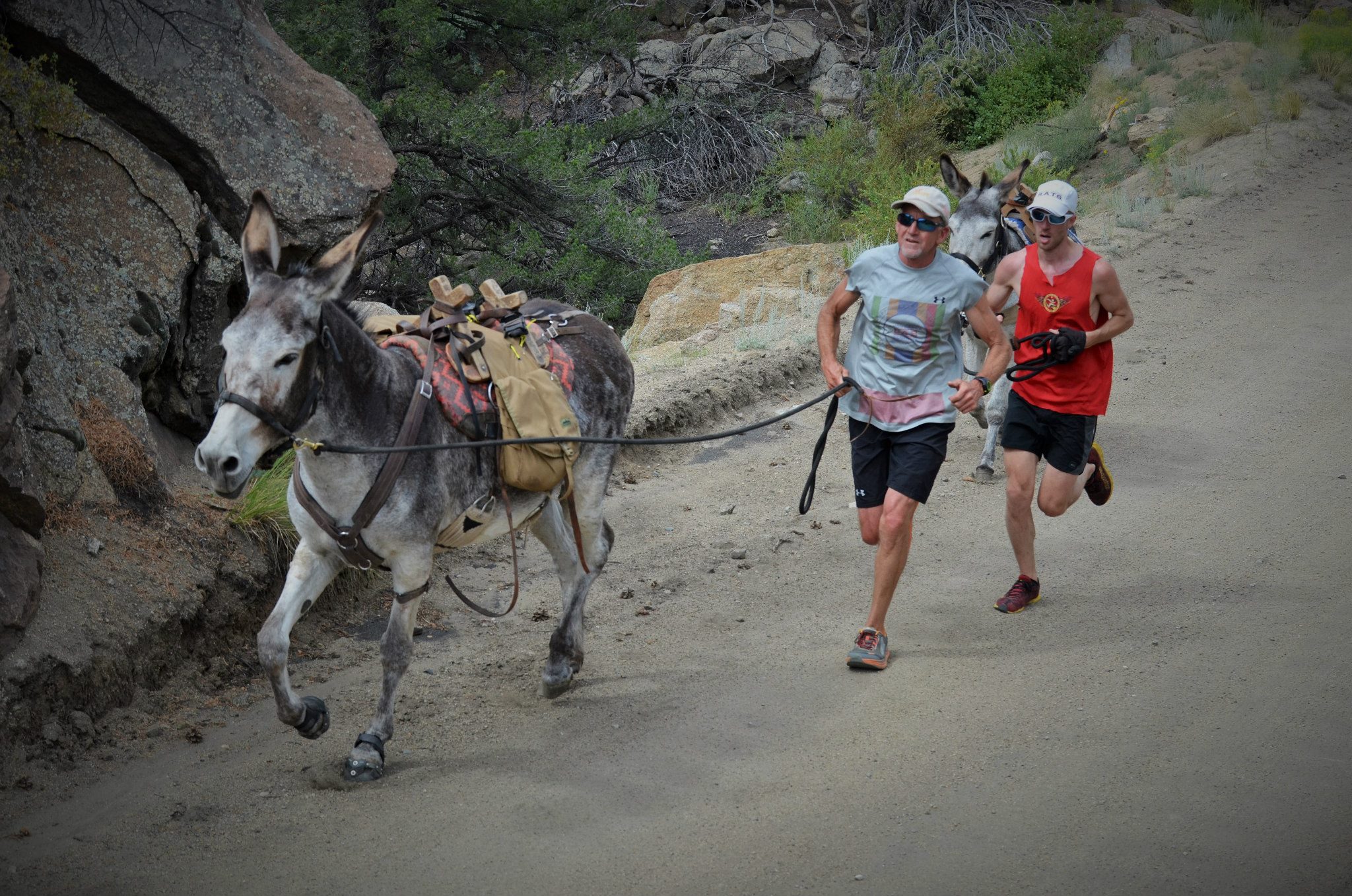 Amazon.com: Hal Walter: books, biography, latest update