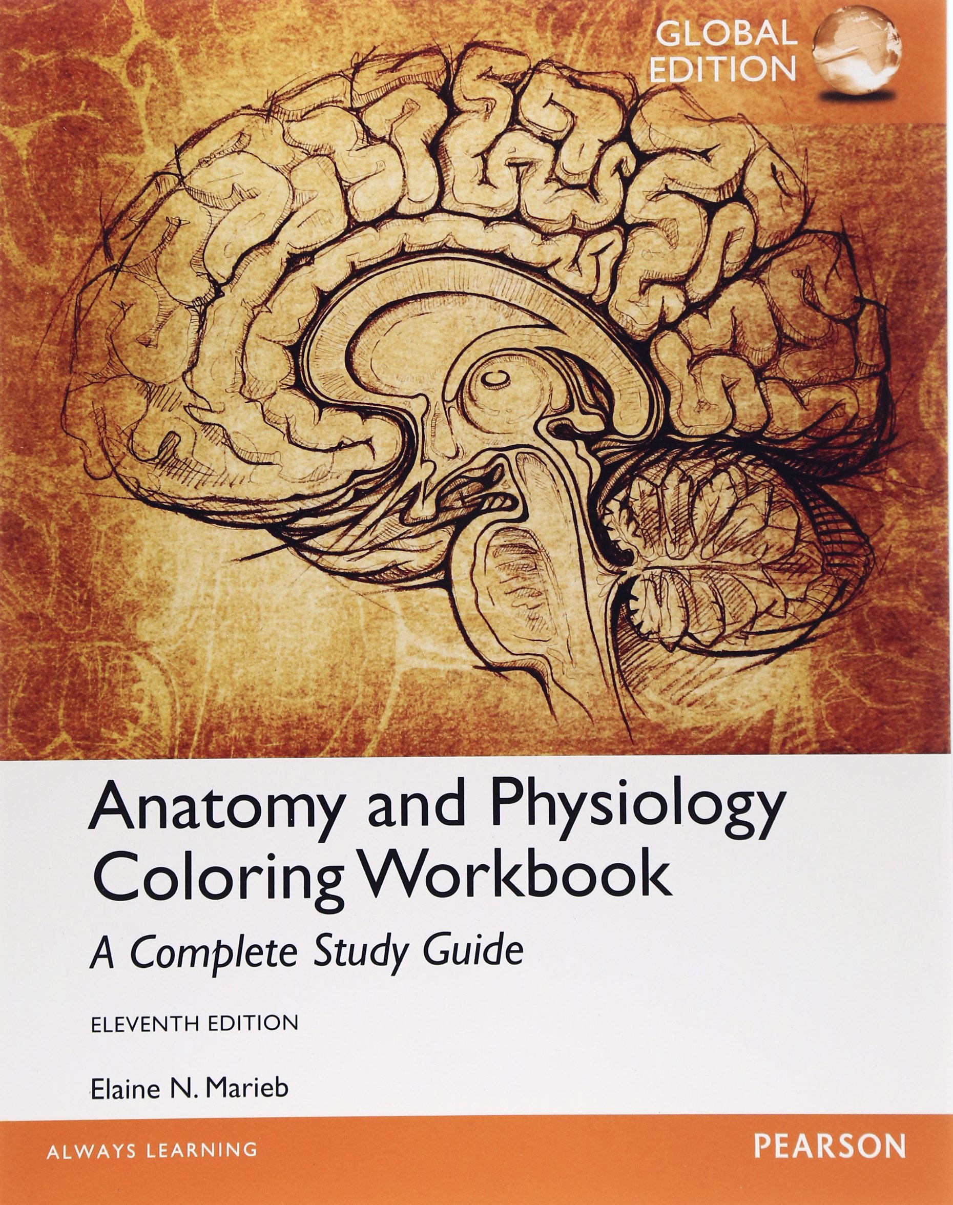 Anatomy and Physiology Coloring Workbook: A Complete Study Guide ...