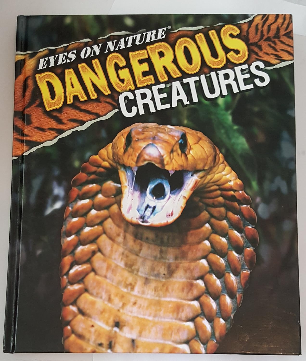 Eyes on Nature: Dangerous Creatures: Robert Matero, Rebecca Grambo ...
