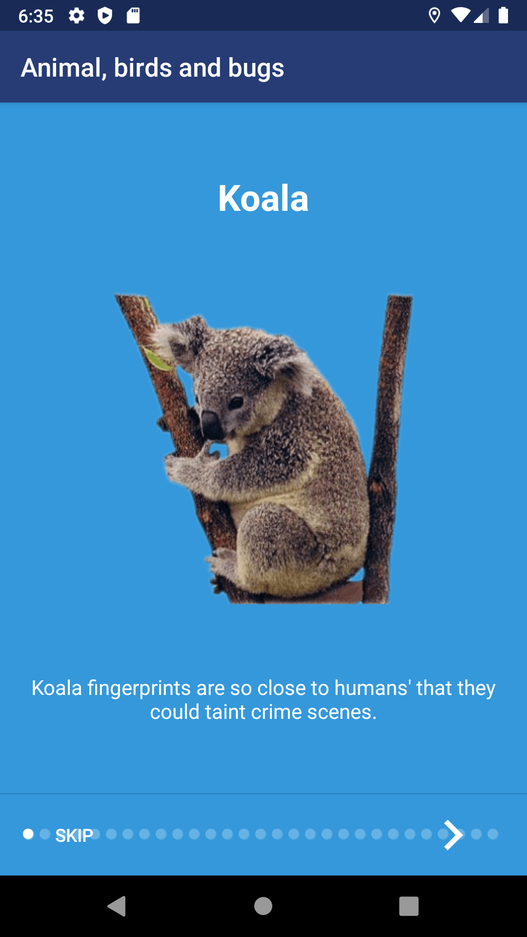 Animals, Birds and Bugs Introduction | Spelling sound and vocabulary of ...