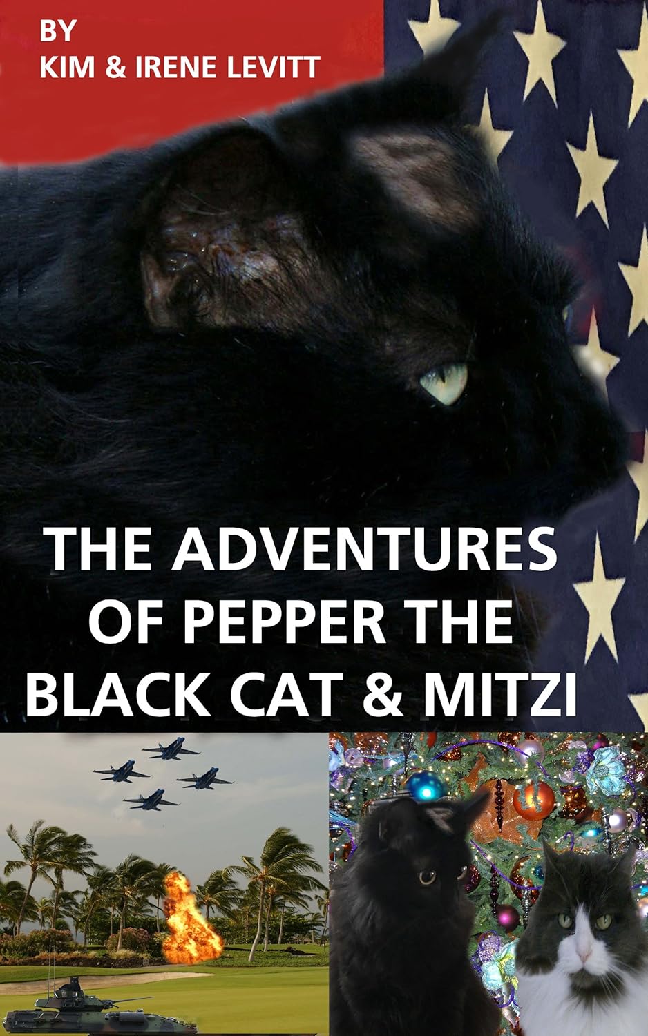 THE ADVENTURES OF PEPPER THE BLACK CAT & MITZI - Kindle edition by ...