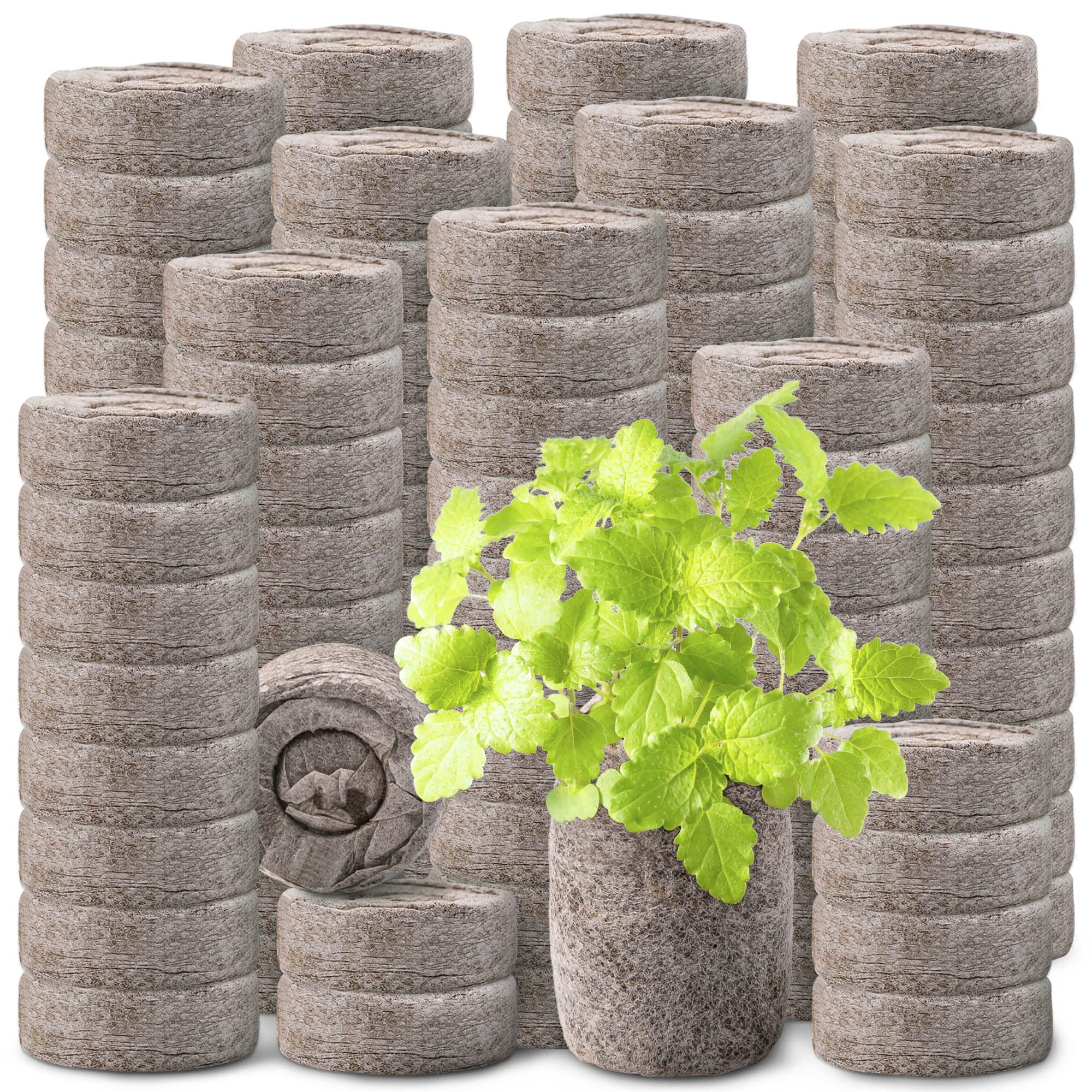 Amazon.com : 200 Pcs Peat Pellets Plant Starter,36MM Plant Starting ...