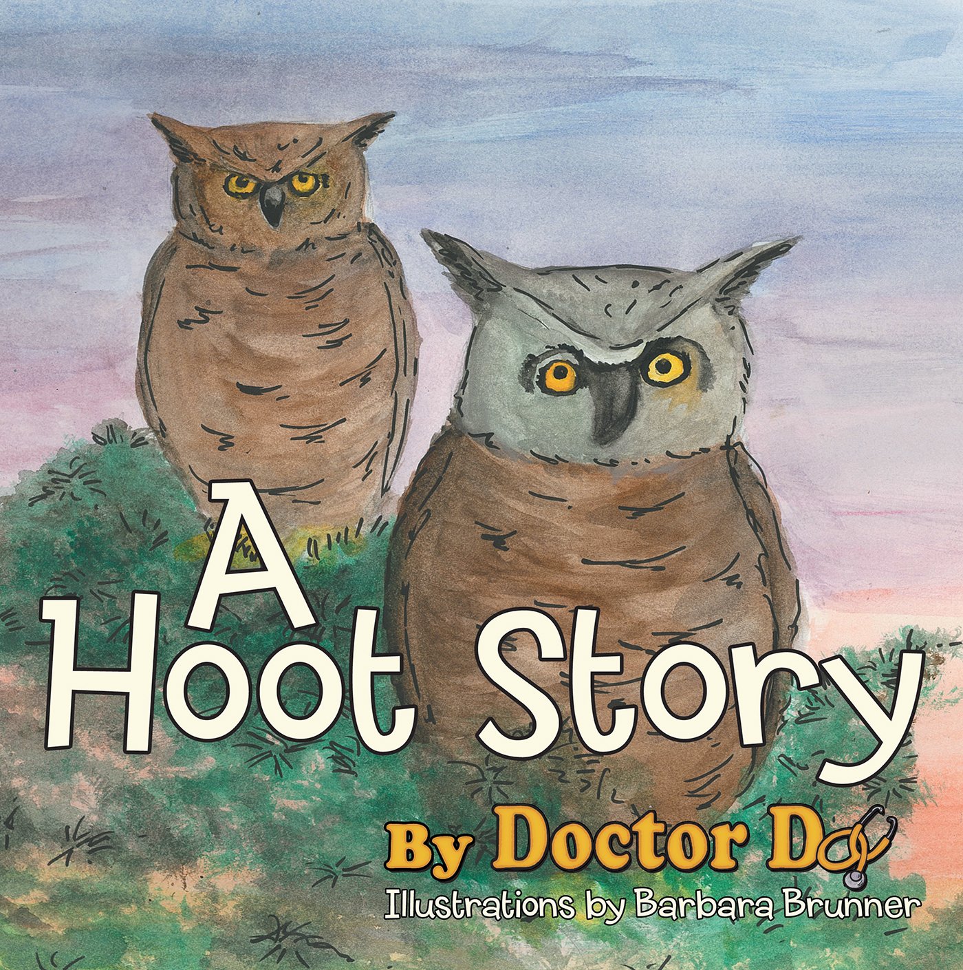 A Hoot Story , Do, Doctor, Brunner, Barbara - Amazon.com